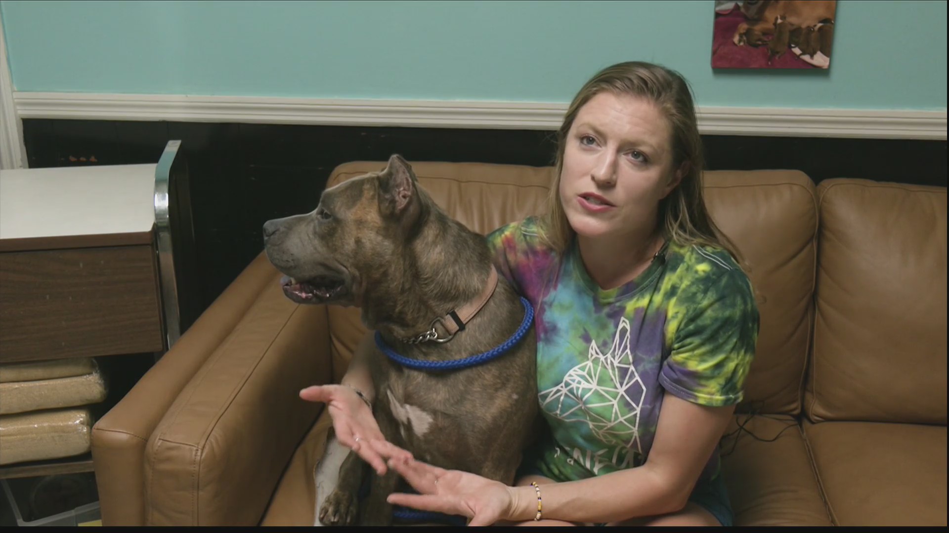 WSAV News 3 – WSAV-TV