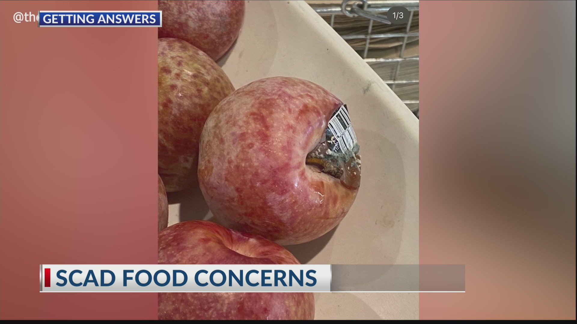 SCAD student Instagram page reveals shocking dining hall meals – WSAV-TV