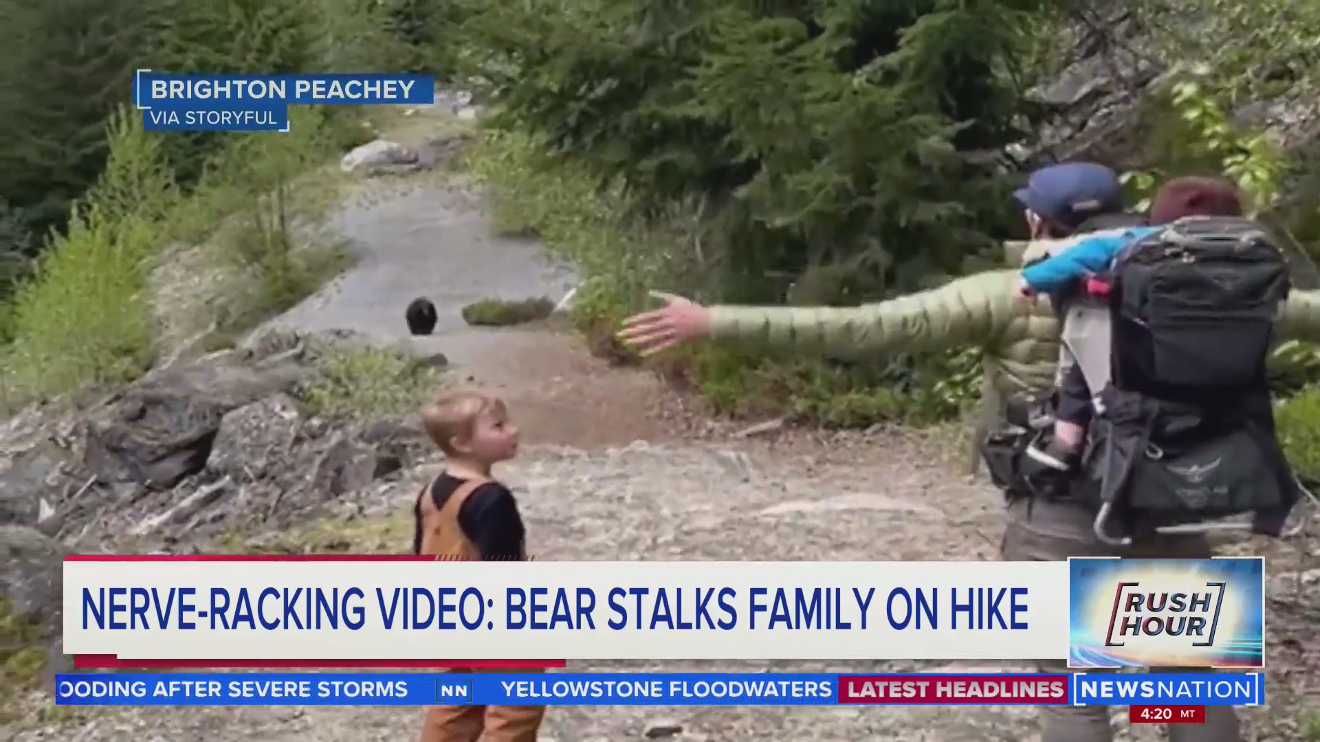 Nerve-racking video: Bear stalks family on hike | Rush Hour – NewsNation
