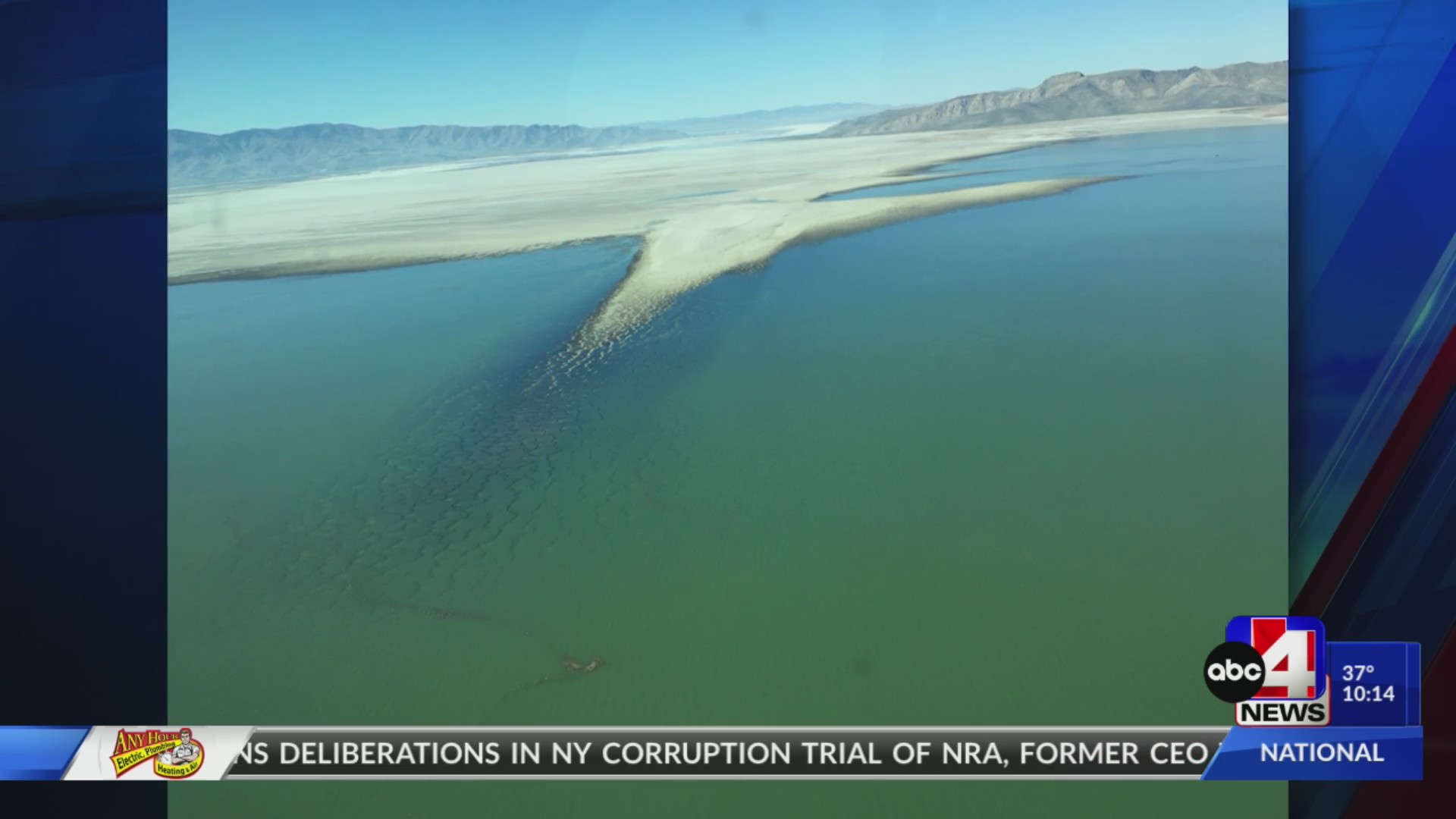 Great Salt Lake’s brine shrimp population booms, majorly impacting ...