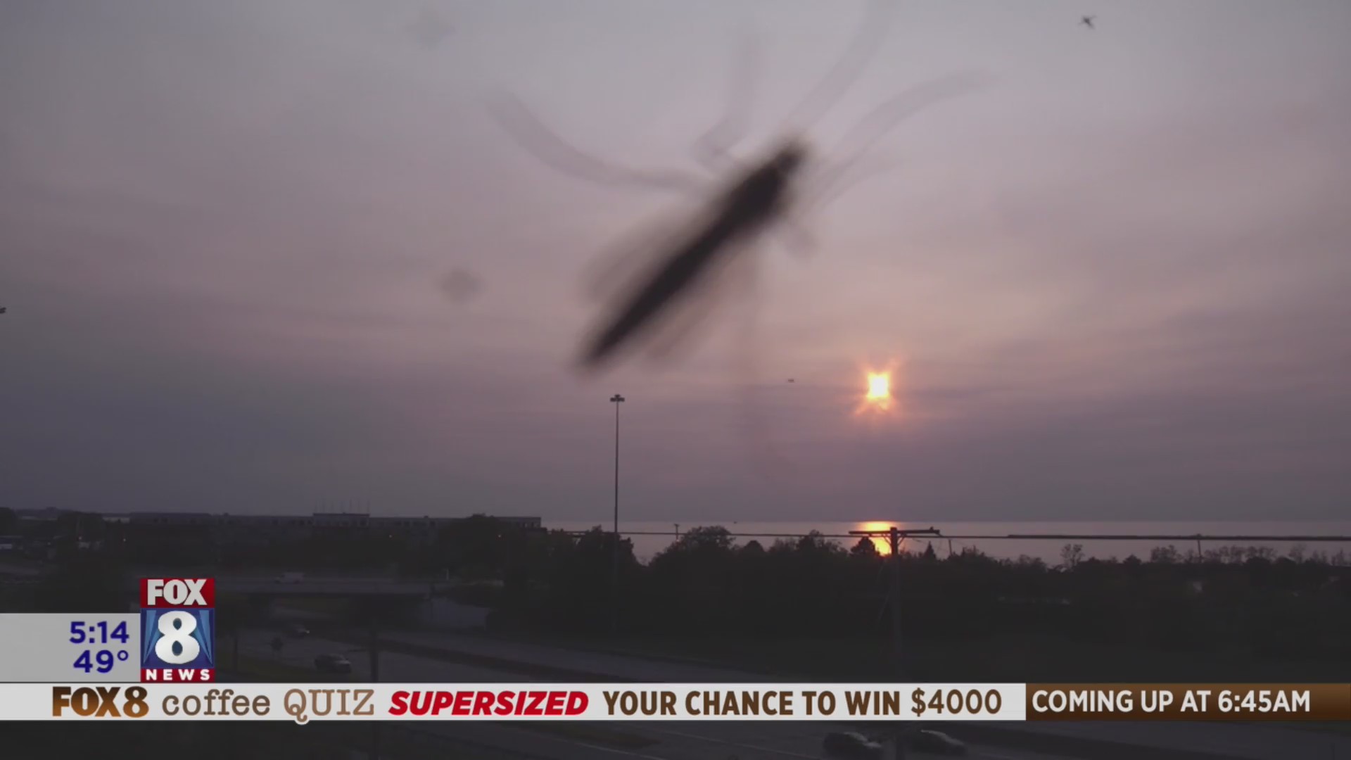 Midges return to Lake Erie – Fox 8 Cleveland WJW