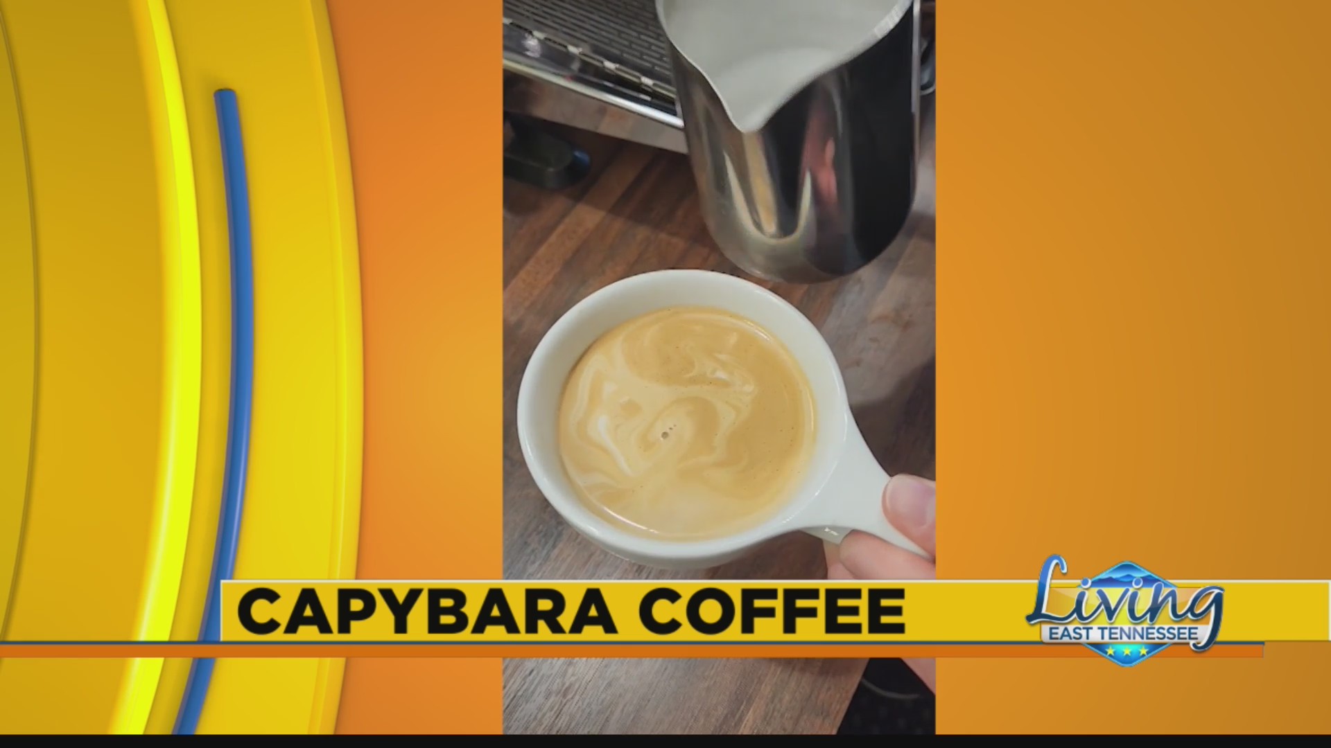 Capybara Coffee – WATE 6 On Your Side
