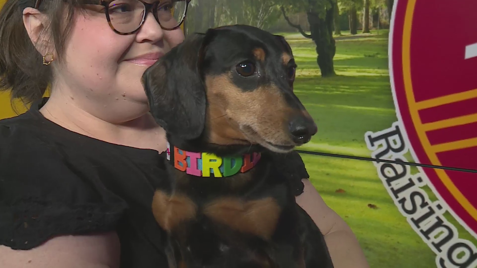 Meet Birdie! Bark In the Park reveals new mascot – FOX 2