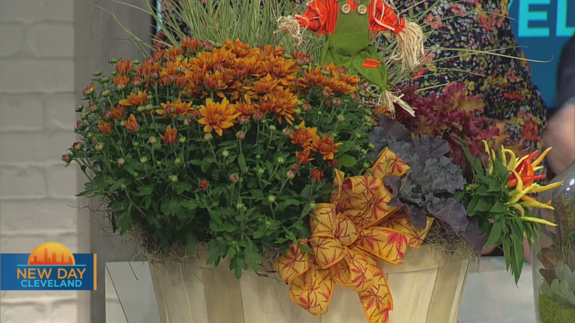 Graf Growers – Fox 8 Cleveland WJW