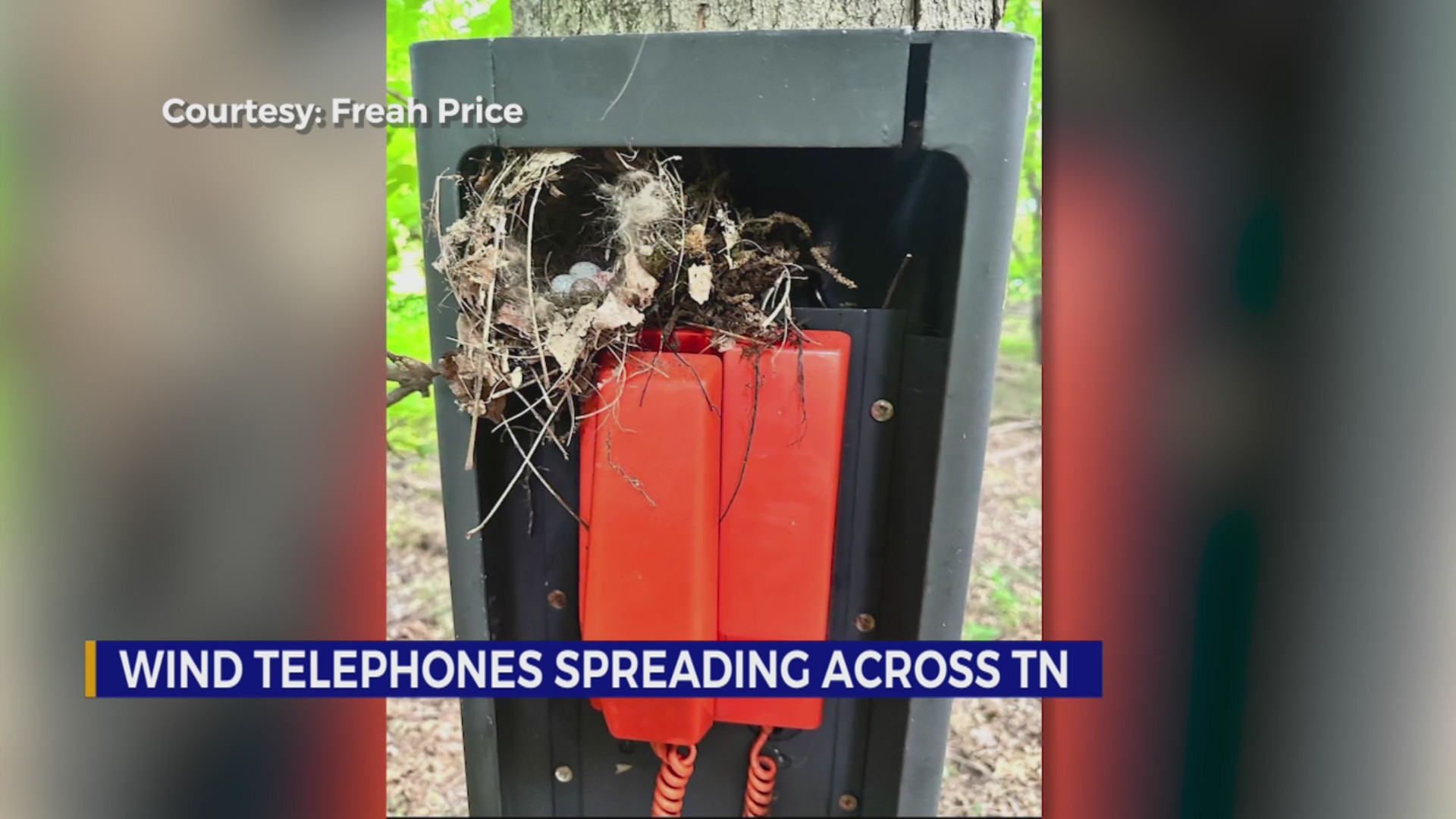 ‘Grief has a way of uniting communities’: Wind Telephones spreading ...