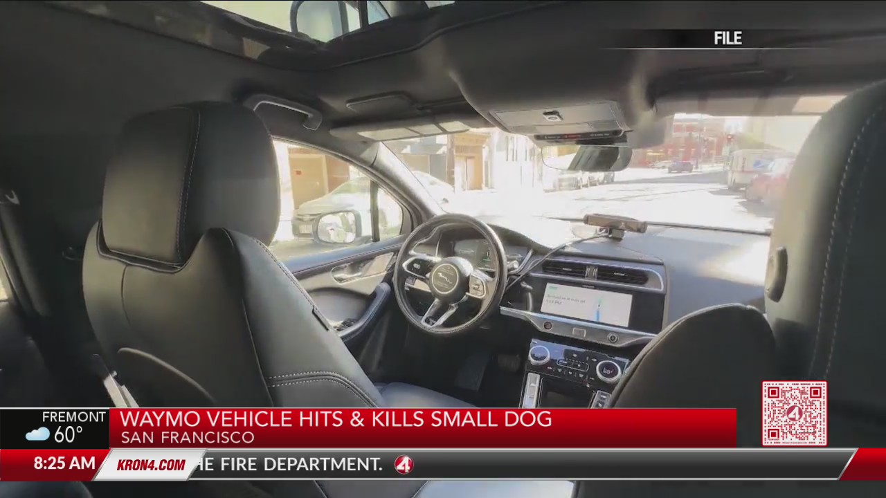 Waymo vehicle hits and kills small dog in SF – PIX11