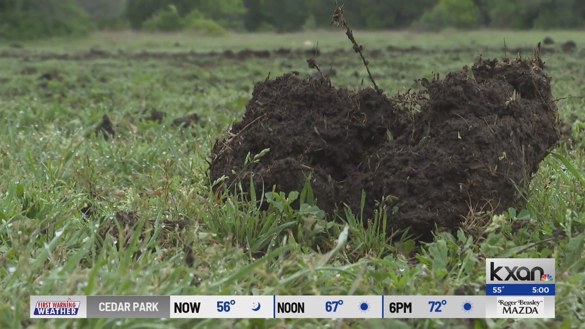 Soccer fields destroyed in act of vandalism at southwest Austin park ...