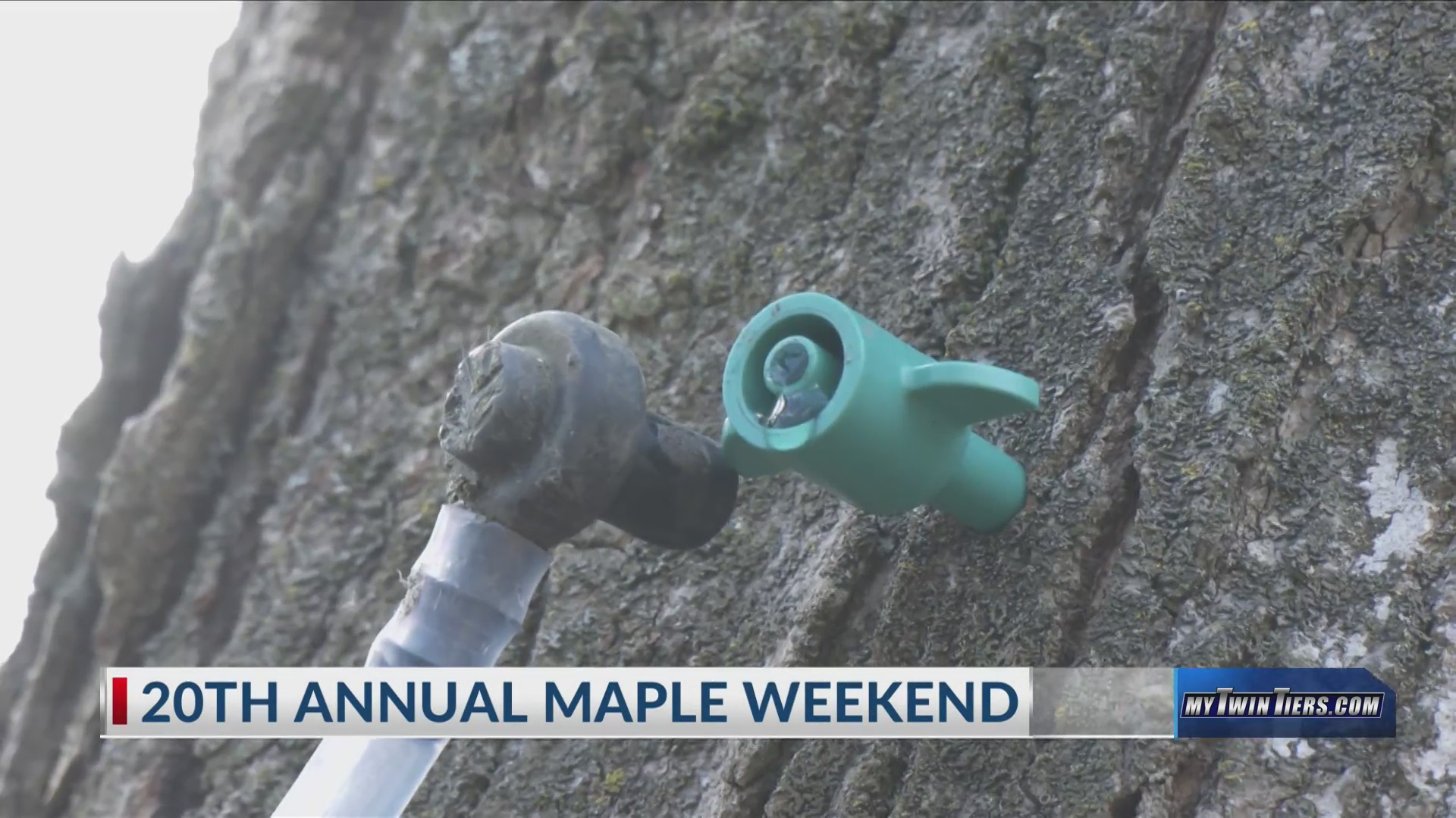 Maple Weekend is back in Potter and Tioga Counties – WETM – MyTwinTiers.com