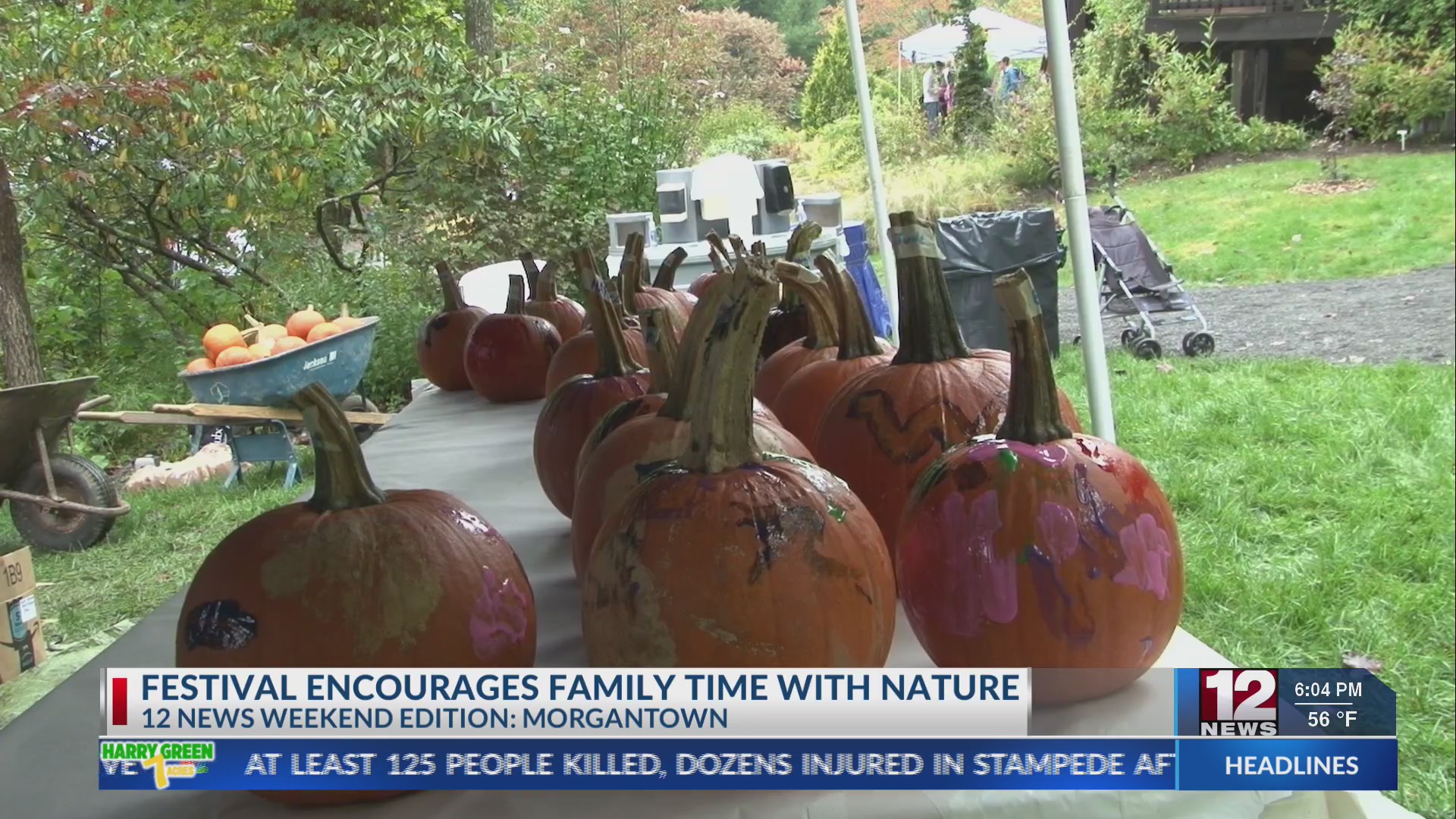 West Virginia Botanic Garden’s Fall Festival gives families opportunity ...