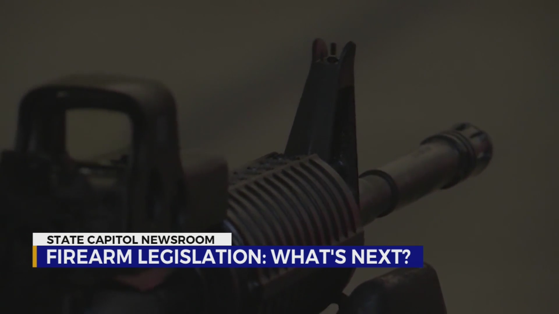 TN firearm legislation: What’s next? – WKRN News 2