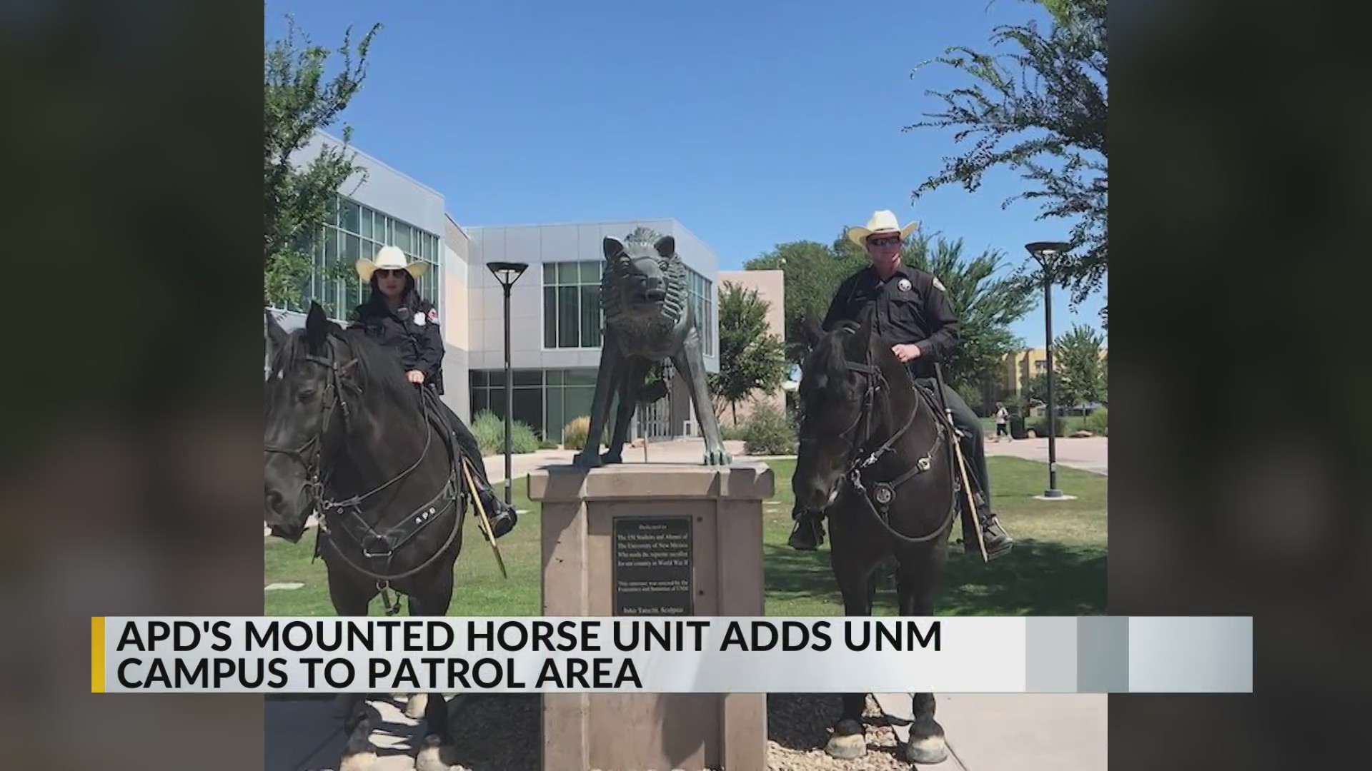 APD adds UNM campus to Mounted Horse unit’s patrol area – KRQE NEWS 13 ...