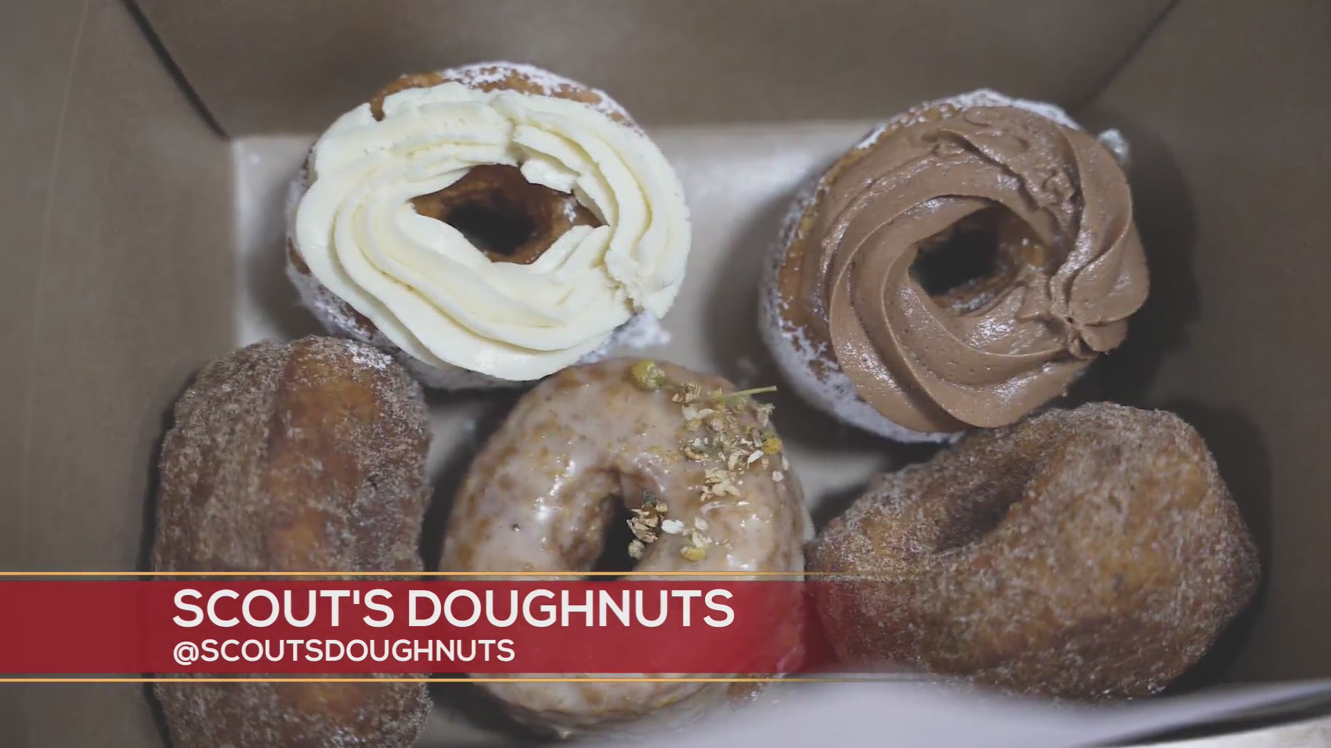 Scout’s Doughnuts to open storefront in Greenville Showcase – WSPA 7NEWS