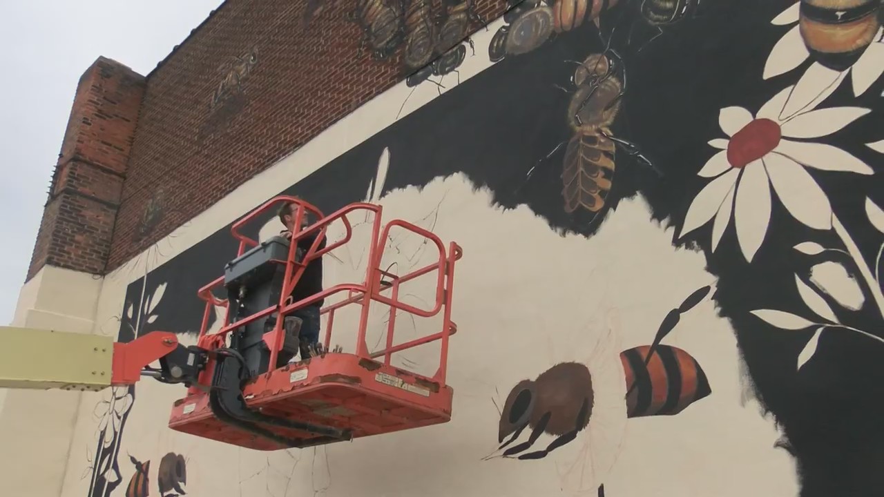 A local mural in progress is causing quite the buzz – PAhomepage.com