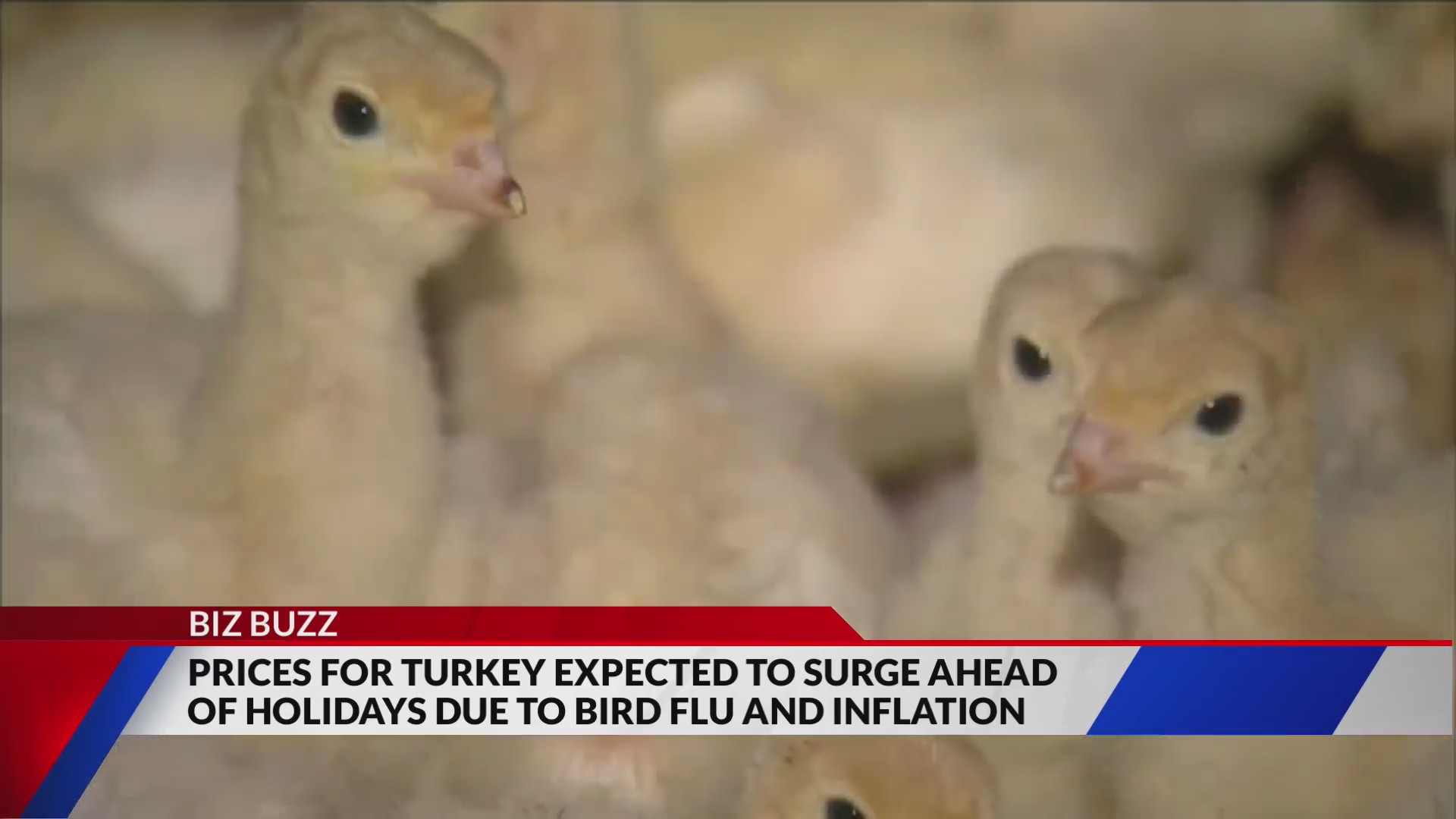 Prices for turkeys expected to surge due to inflation and Bird Flu – FOX 2