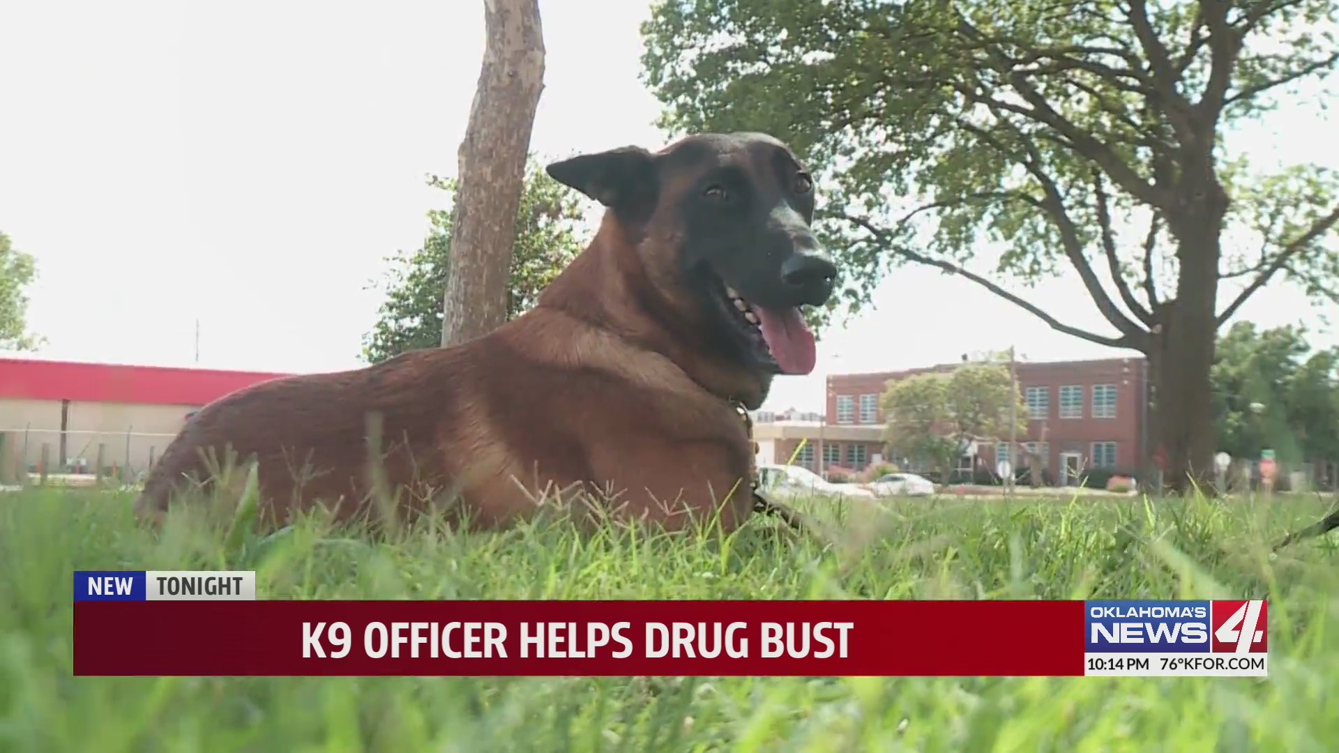 Blaine County K9 makes huge drug bust – KFOR.com Oklahoma City