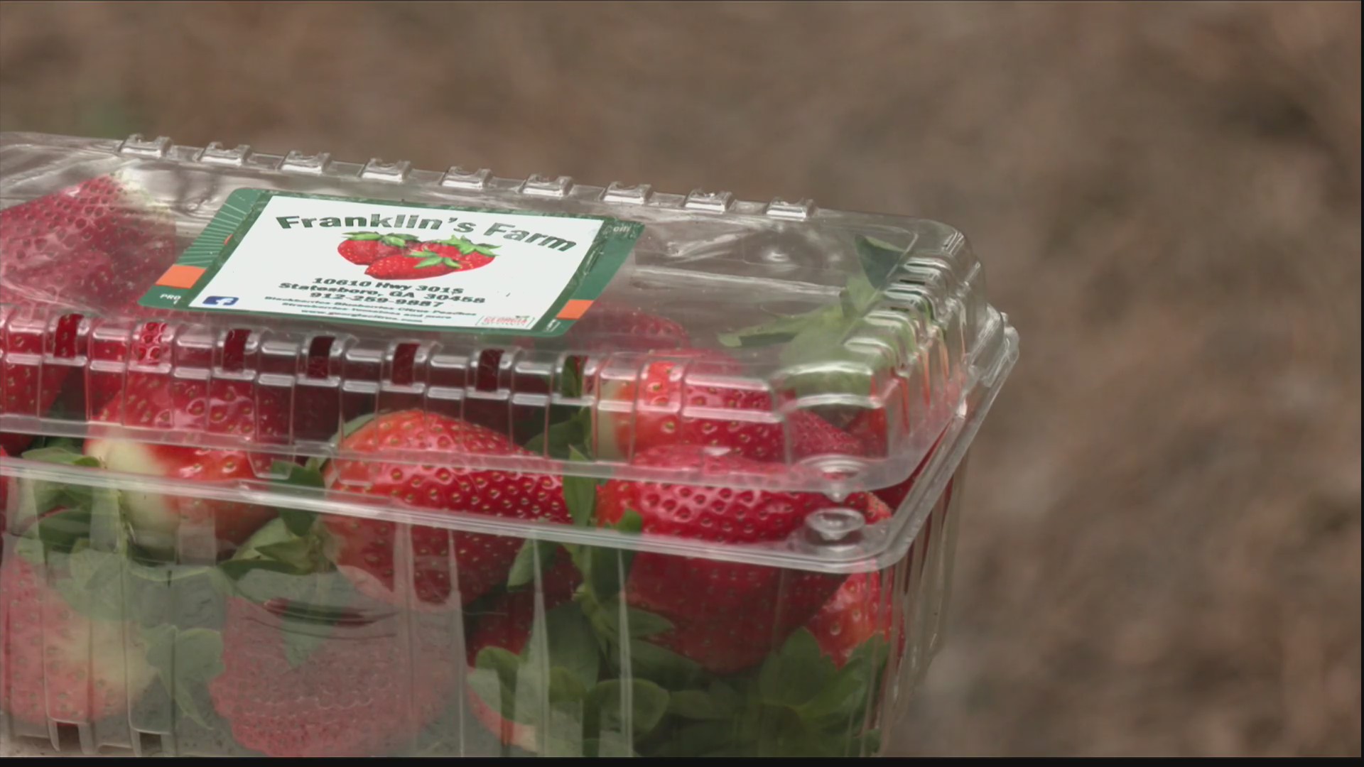 Franklin’s Farm pushing strawberries early – WSAV-TV
