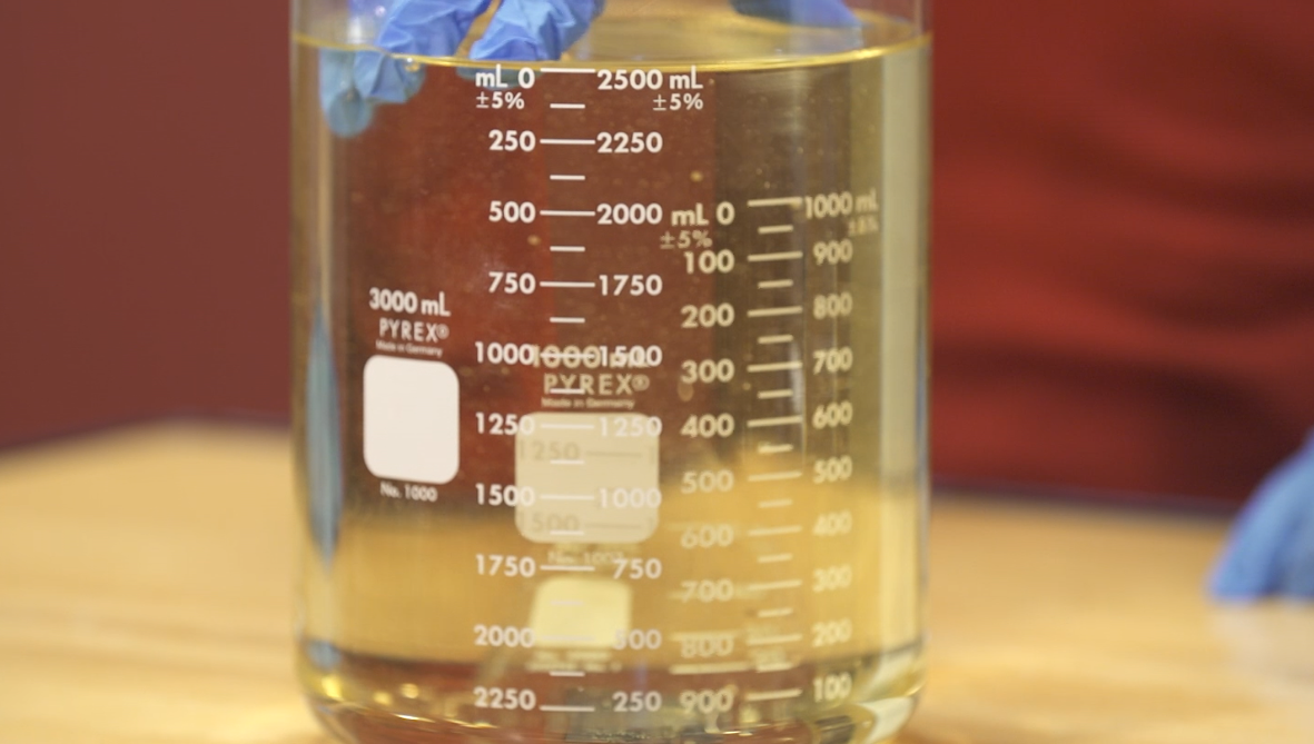 Connecting with COSI: Invisibility Experiment – NBC4 WCMH-TV