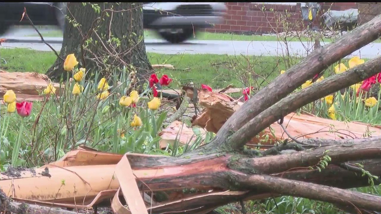 Lightning bolt causes tree to explode on Village Green – WKBN.com