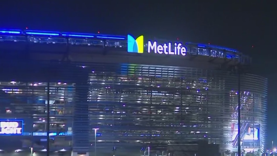 MetLife Stadium to host World Cup final in 2026 – PIX11