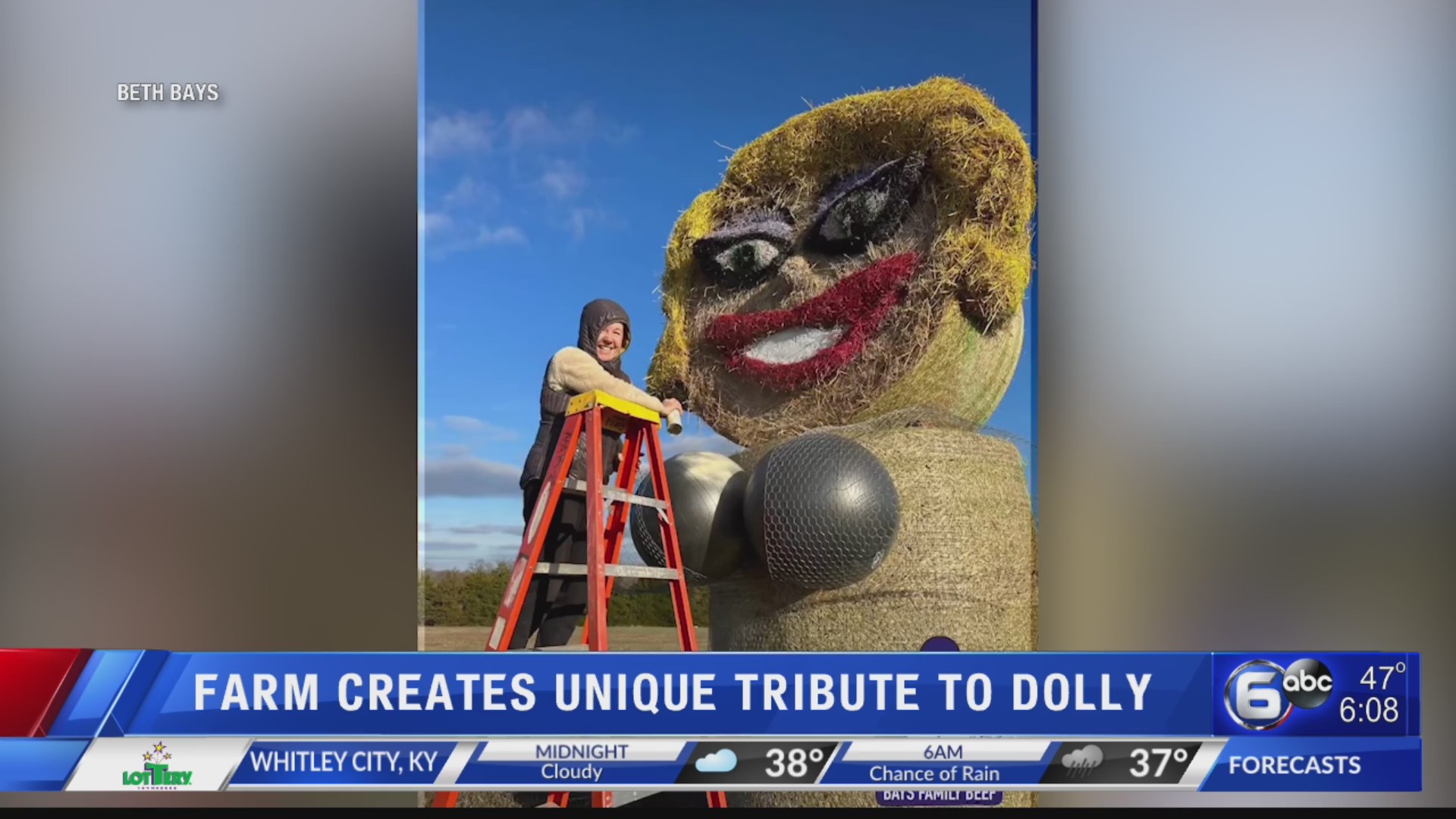 Farm creates unique tribute to Dolly Parton – WATE 6 On Your Side