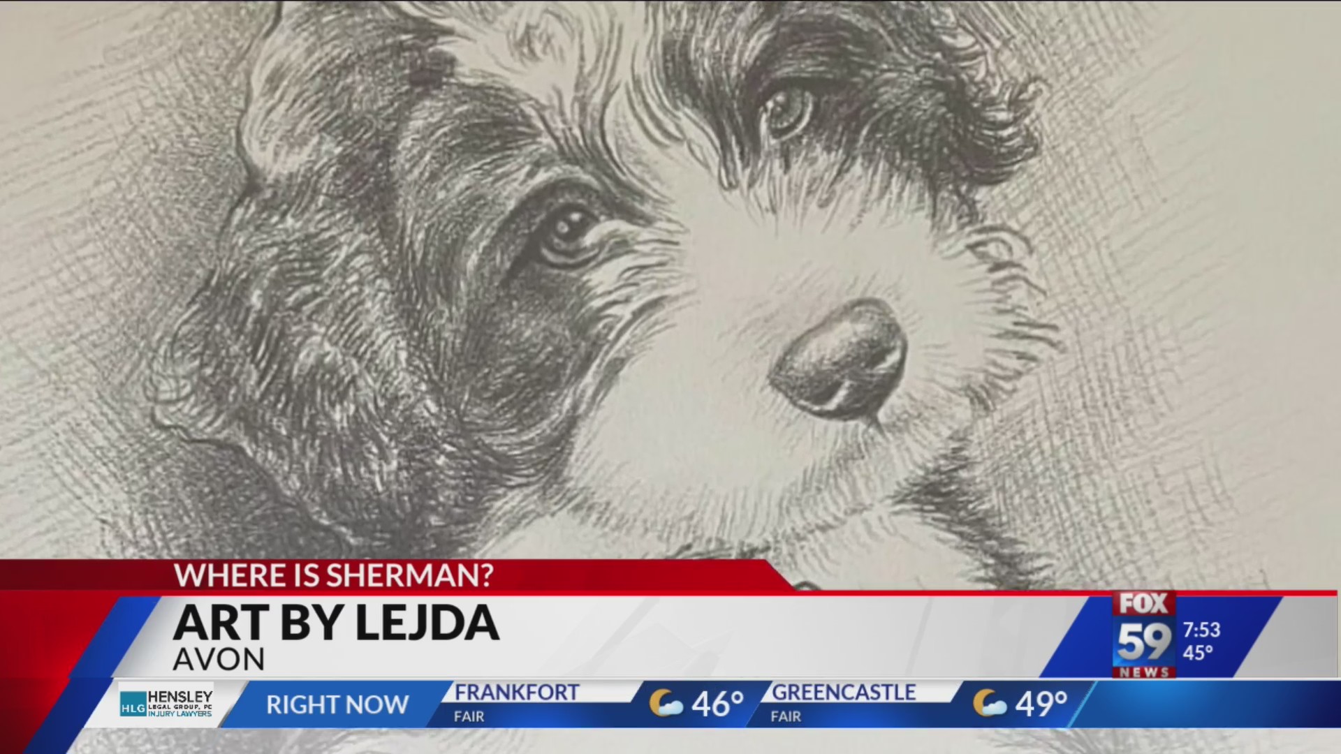Where is Sherman? Art by Lejda – Fox 59