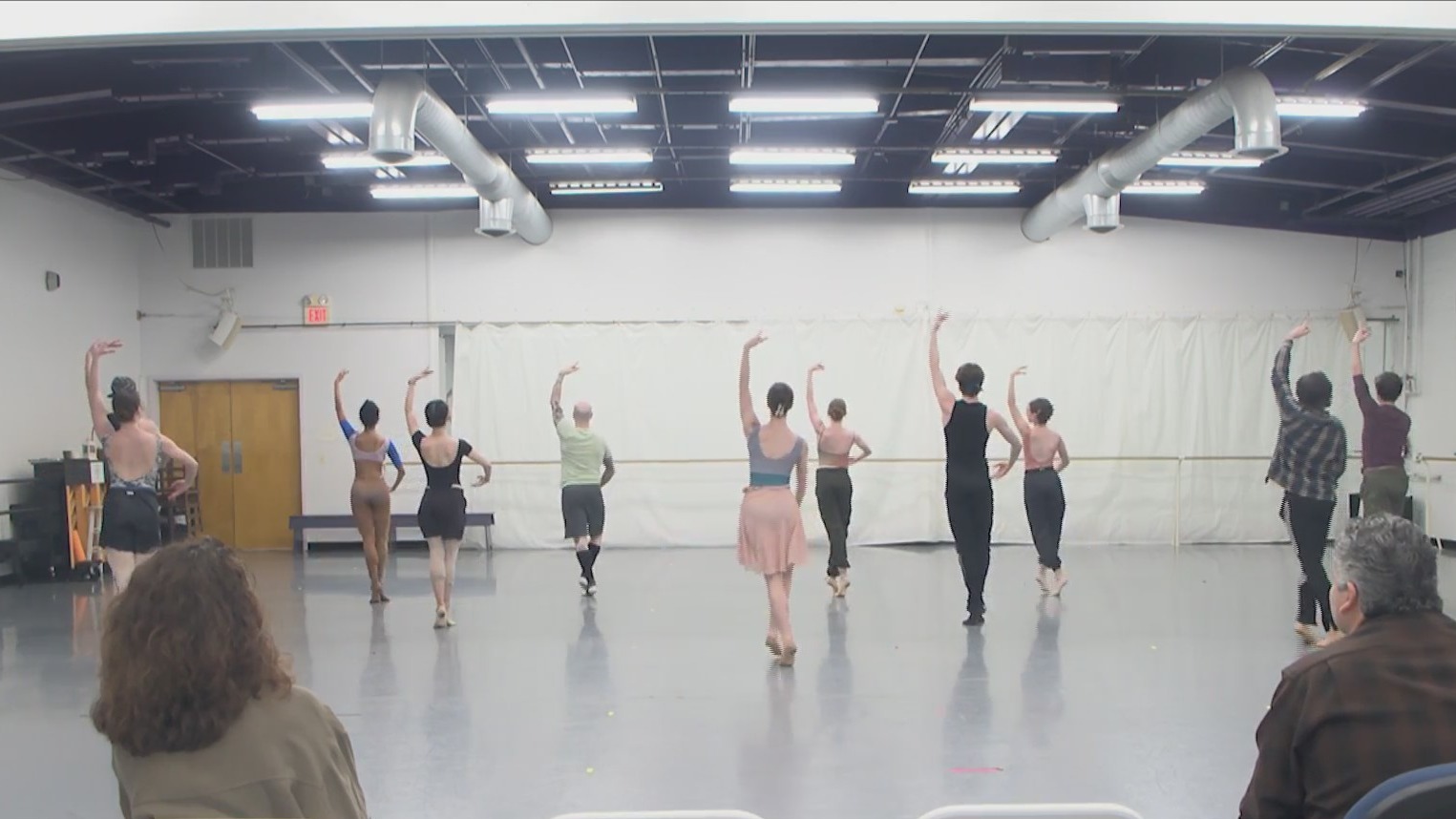 Rochester City Ballet hosts 2nd production of ‘The Ugly Duckling ...