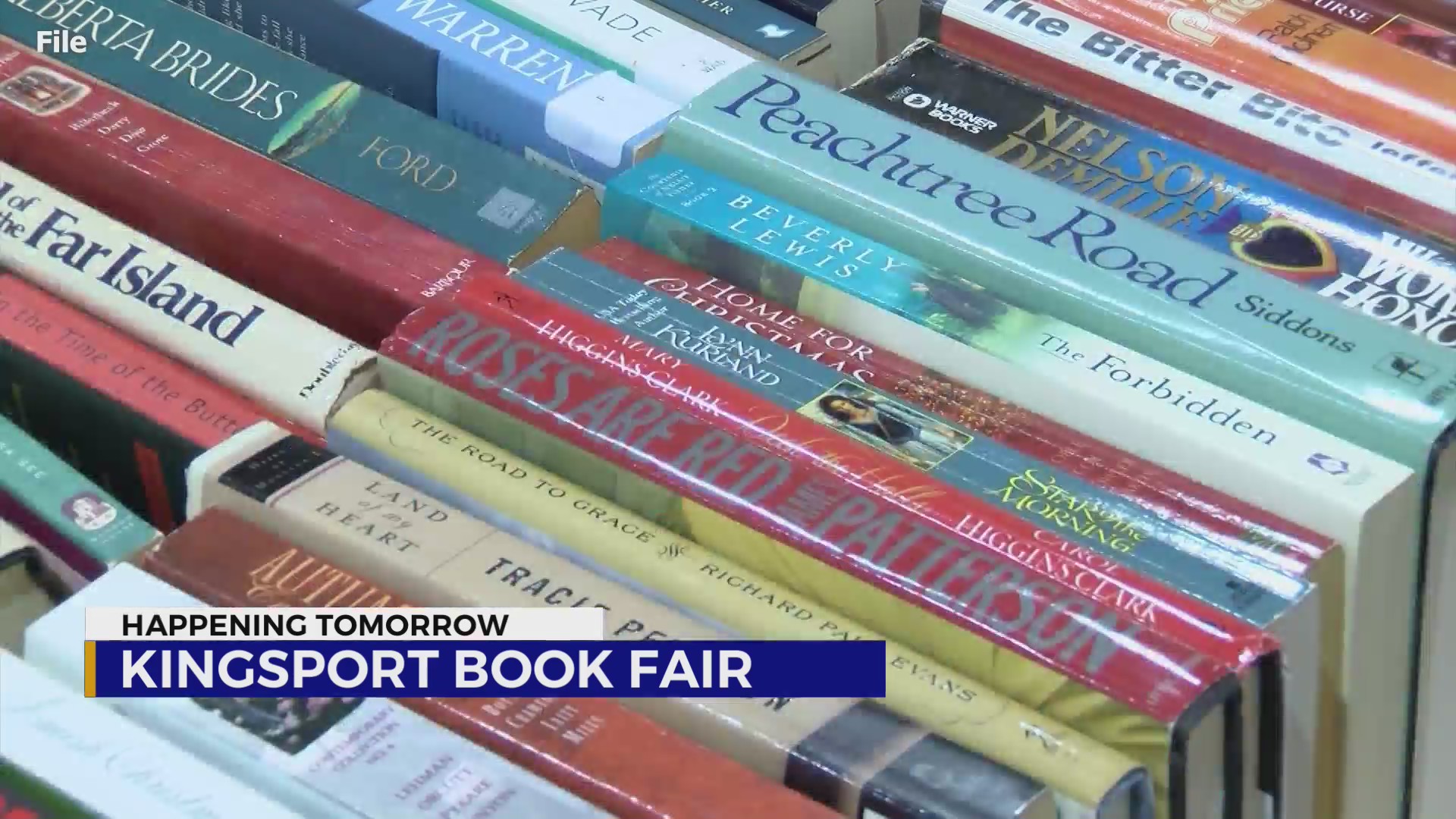 Kingsport Book Fair kicks off on Friday – WJHL | Tri-Cities News & Weather