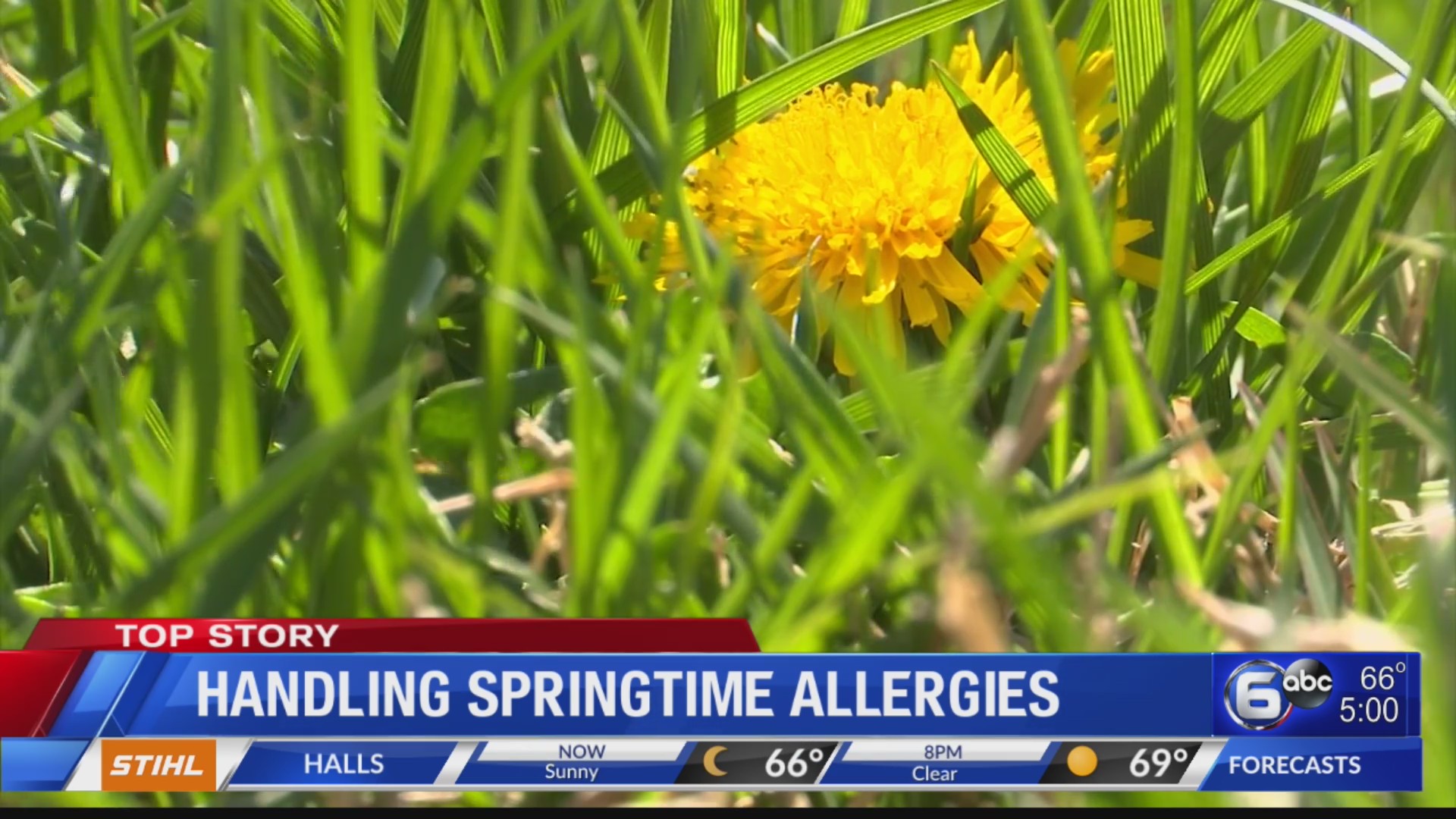 Handling Springtime Allergies – WATE 6 On Your Side