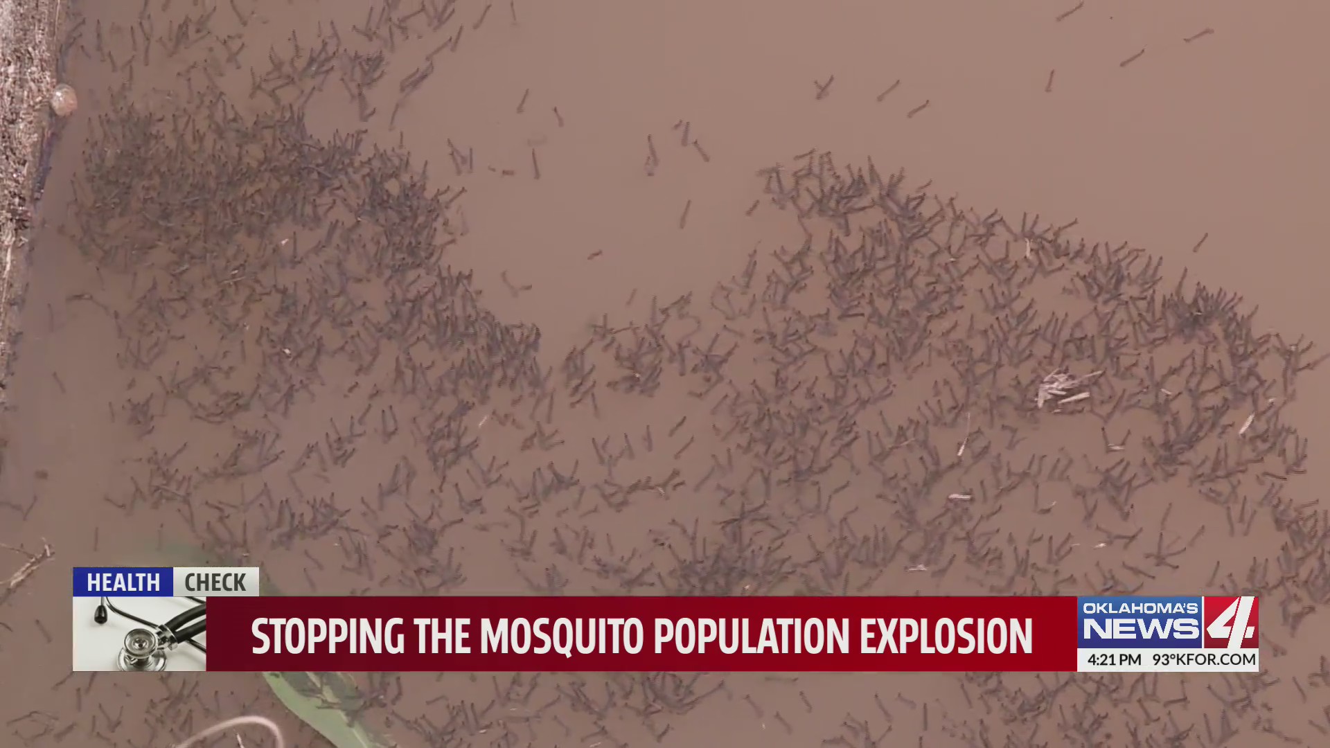 Stopping the mosquito population explosion – KFOR.com Oklahoma City