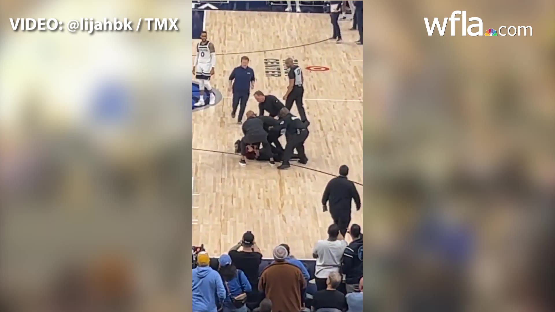 Animal rights activist dressed as referee disrupts NBA game, gets ...