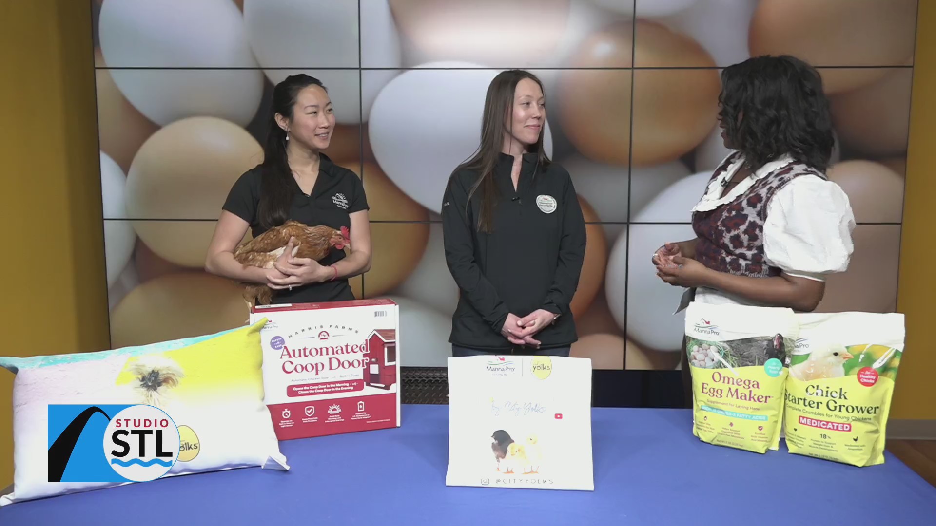 What The Cluck How To Get Started Raising Backyard Chickens Fox 2