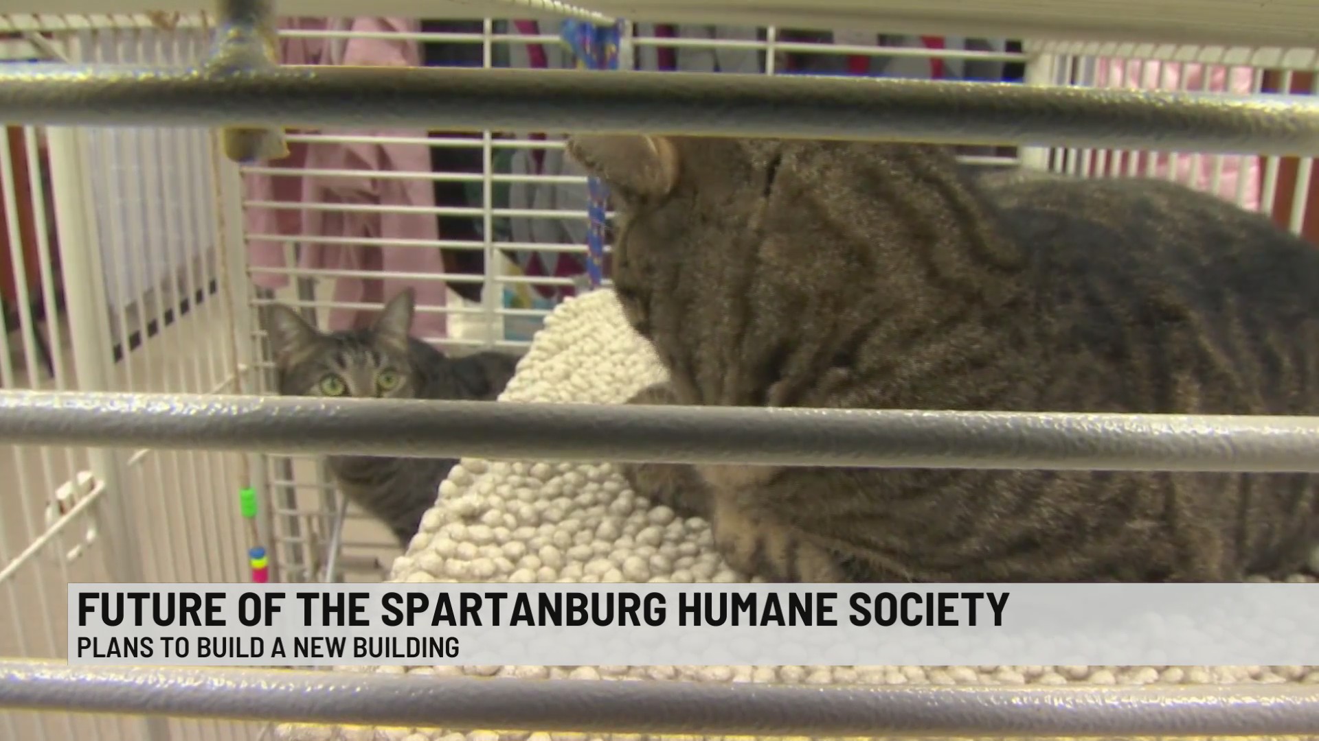 Spartanburg Humane Society new building – WSPA 7NEWS