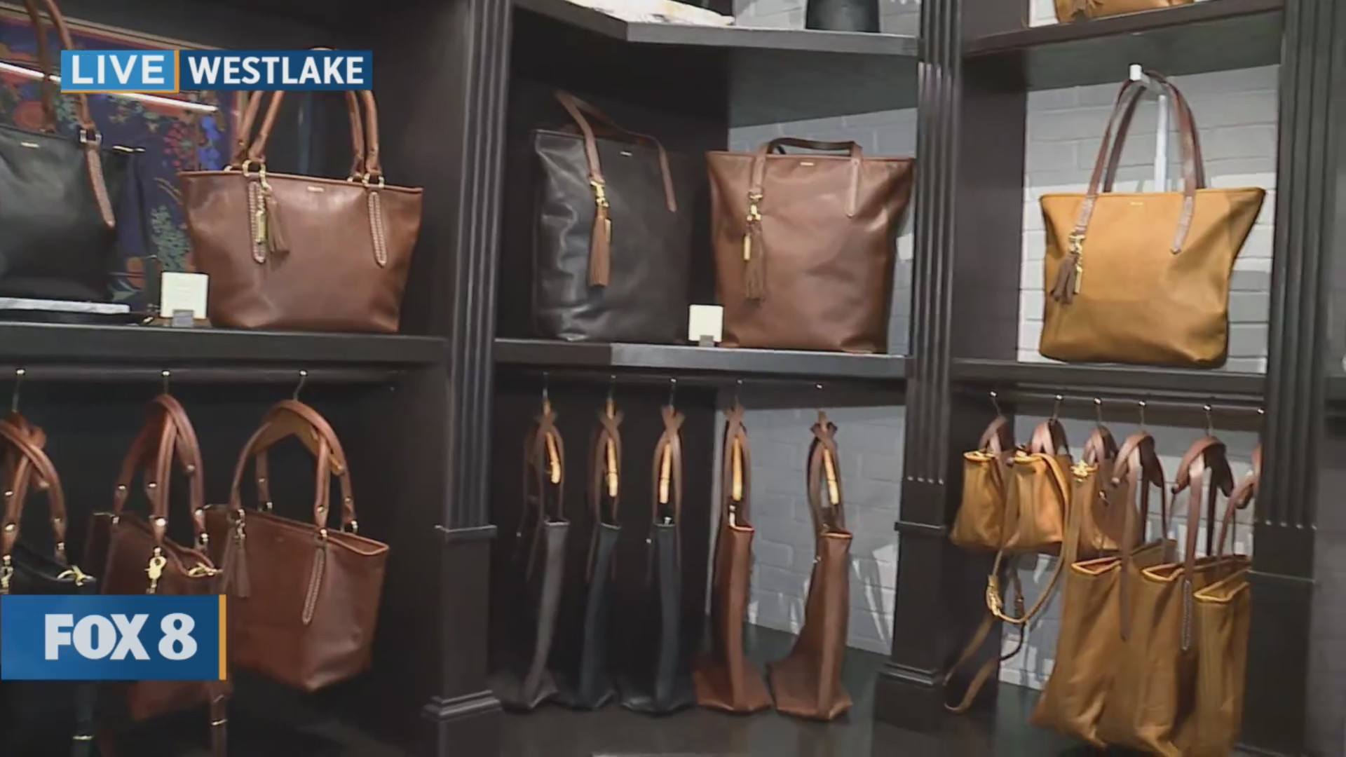 New Day Cleveland: Fount – Fox 8 Cleveland WJW