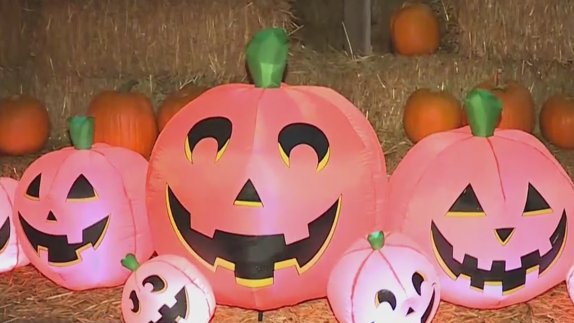 Yesteryear Tree Farm opens for fall season in Wilsonville – KOIN.com