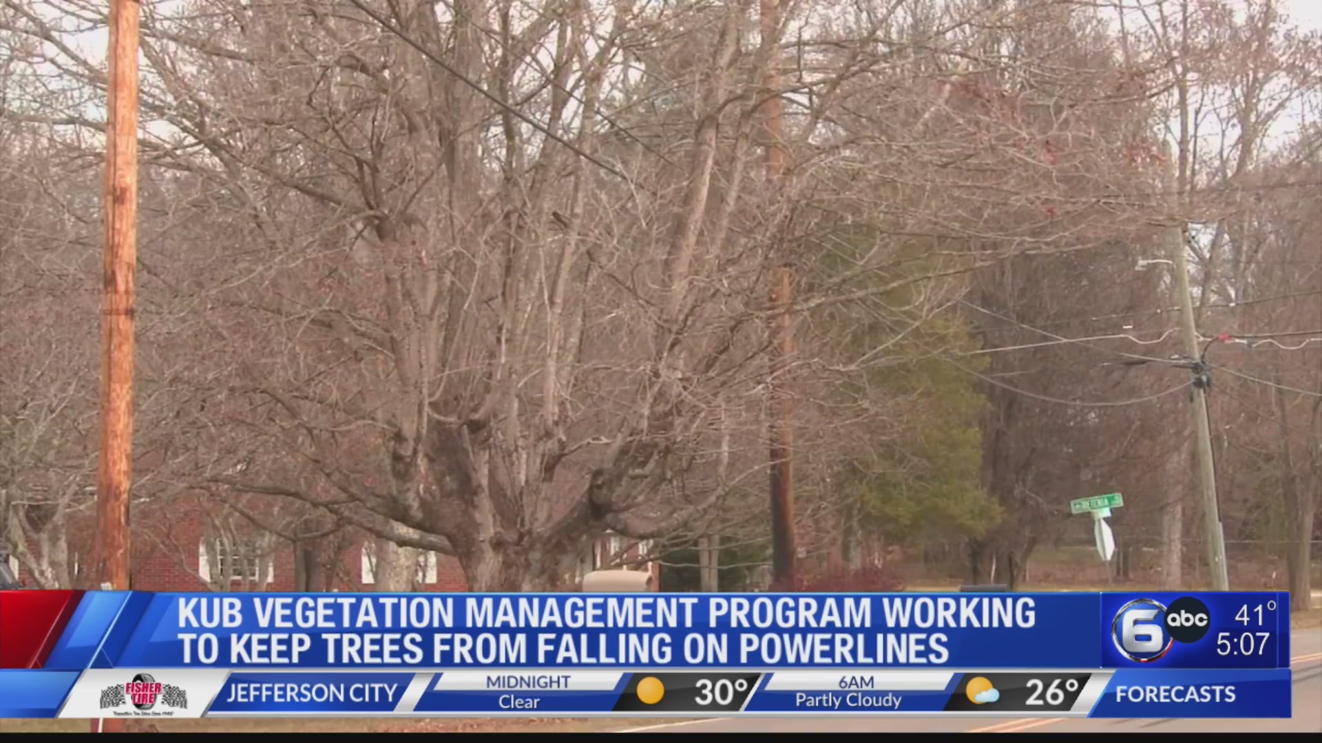KUB working to keep trees from falling on powerlines – WATE 6 On Your Side