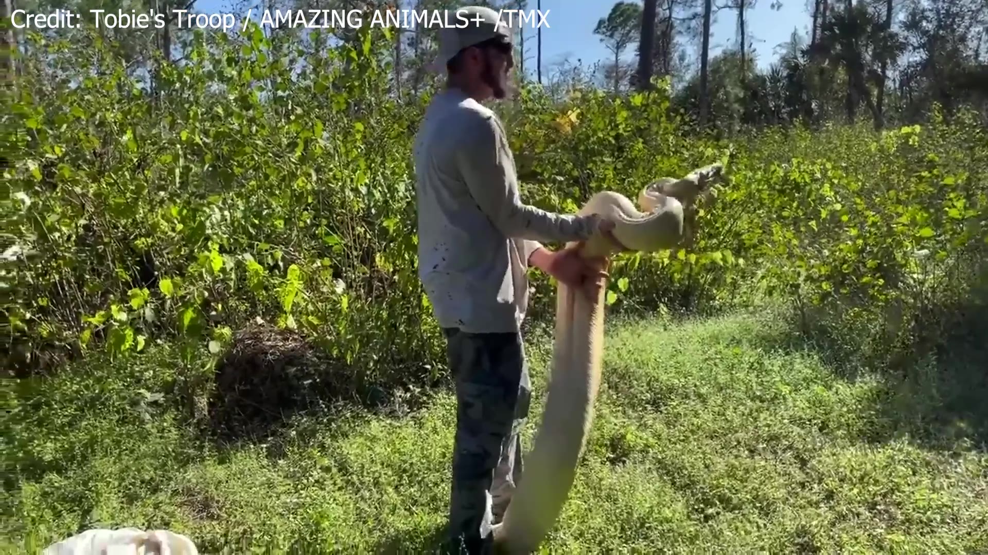 Python capture – WFLA