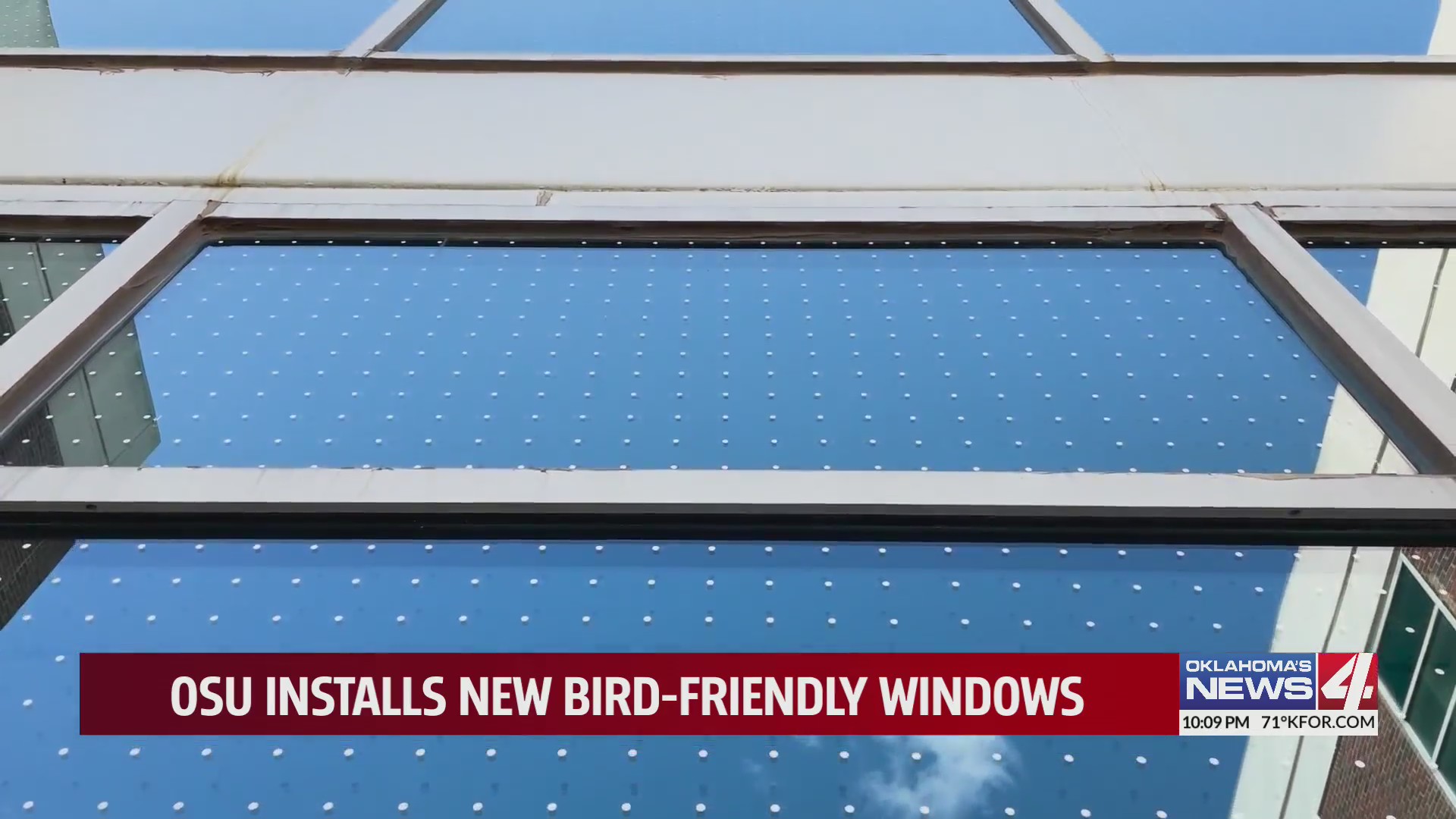 OSU installs new bird-friendly windows – KFOR.com Oklahoma City