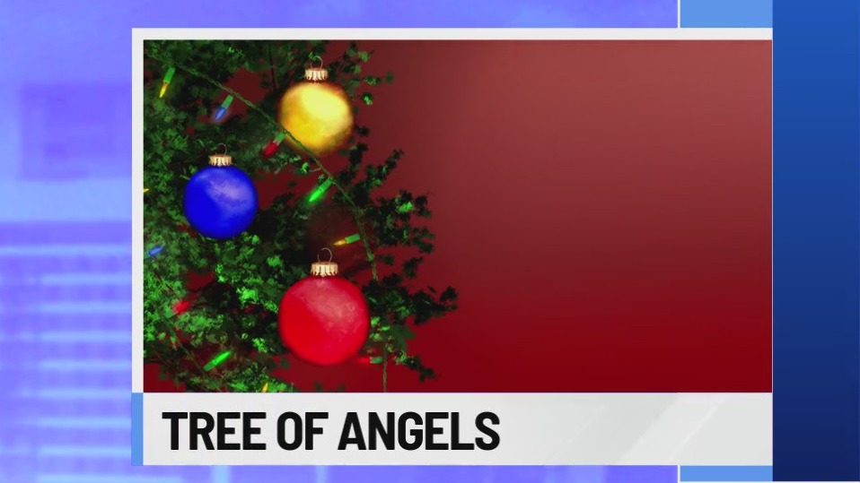 Williamson County DA’s office honors victims of violent crimes at Tree ...