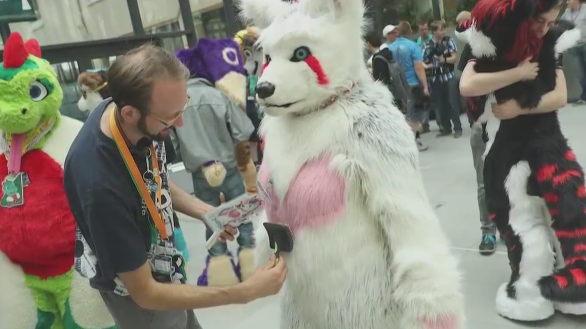 Senator: Furry convention has ‘nothing to do’ with Florida law | On ...