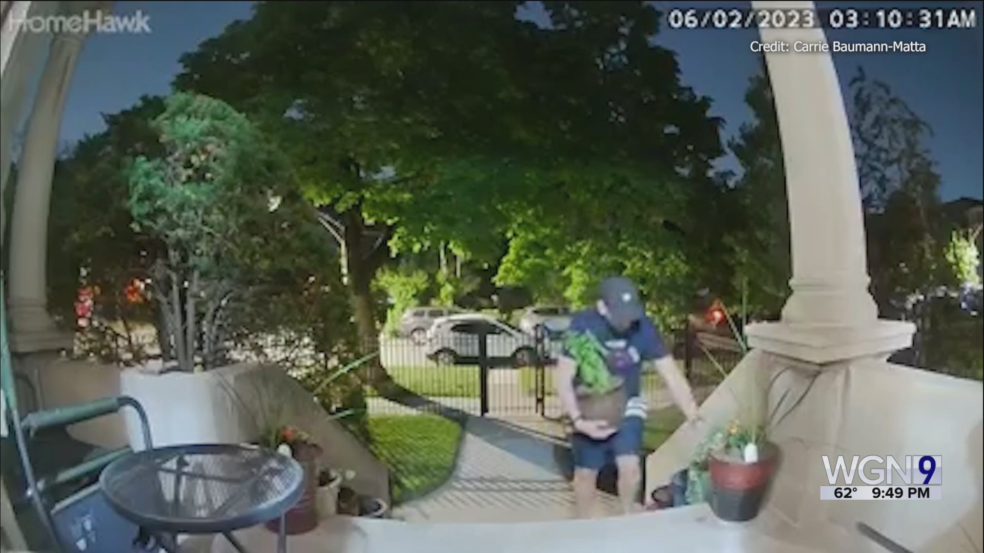Thief caught on camera stealing plants from porch of Ravenswood home ...