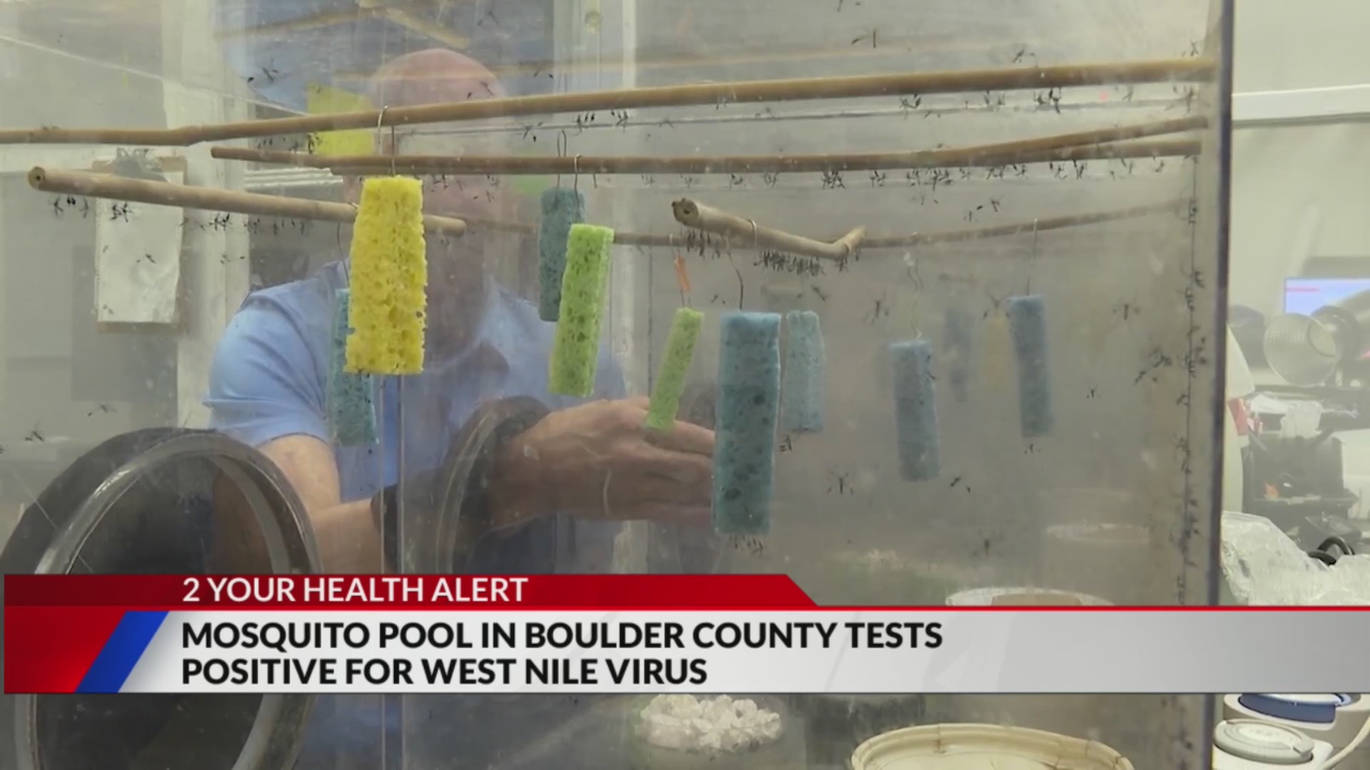 Mosquito pool in Boulder County tests positive for West Nile Virus ...