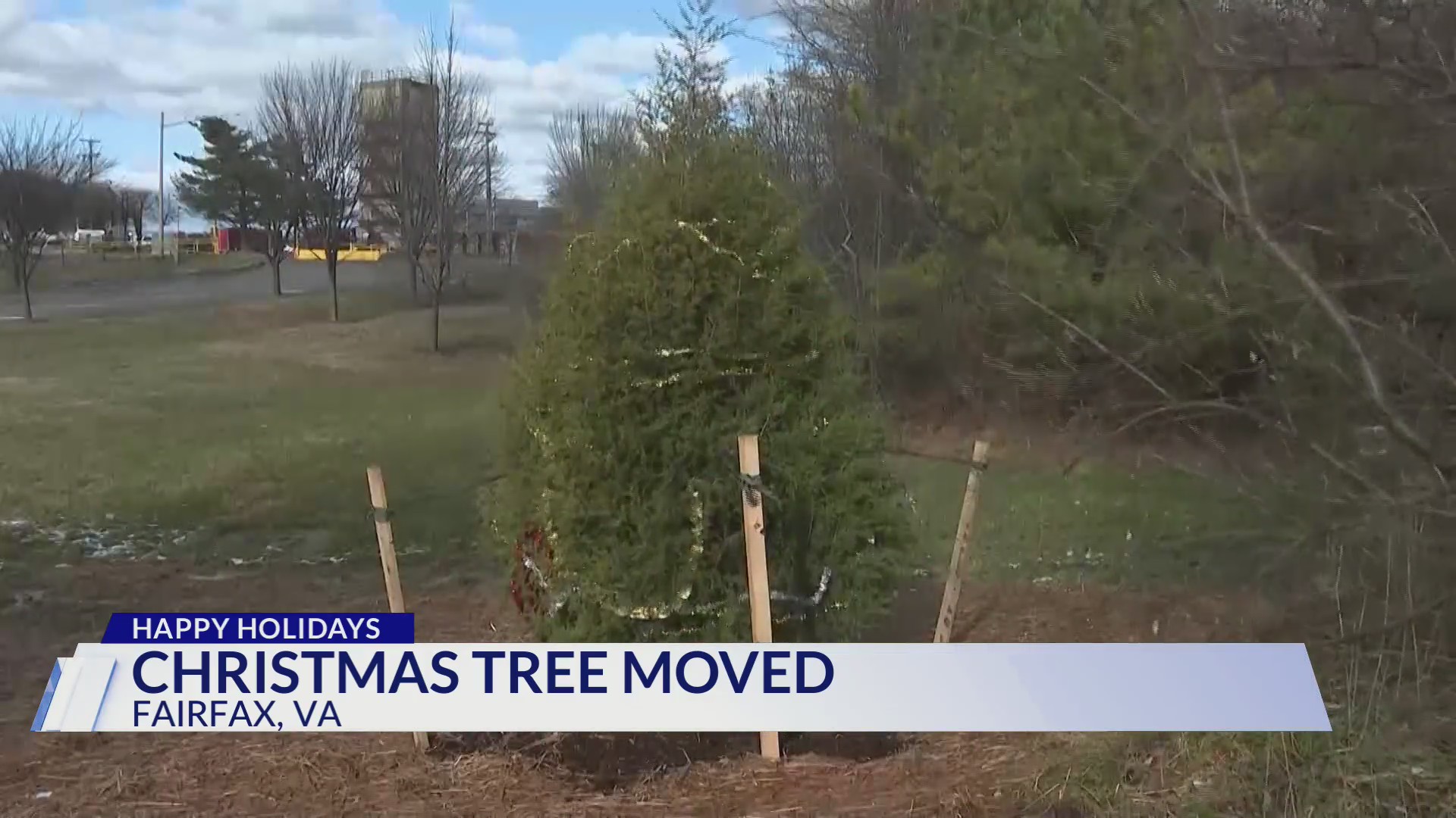 Iconic Fairfax County tree saved, moved to VDOT land – DC News Now | DC ...