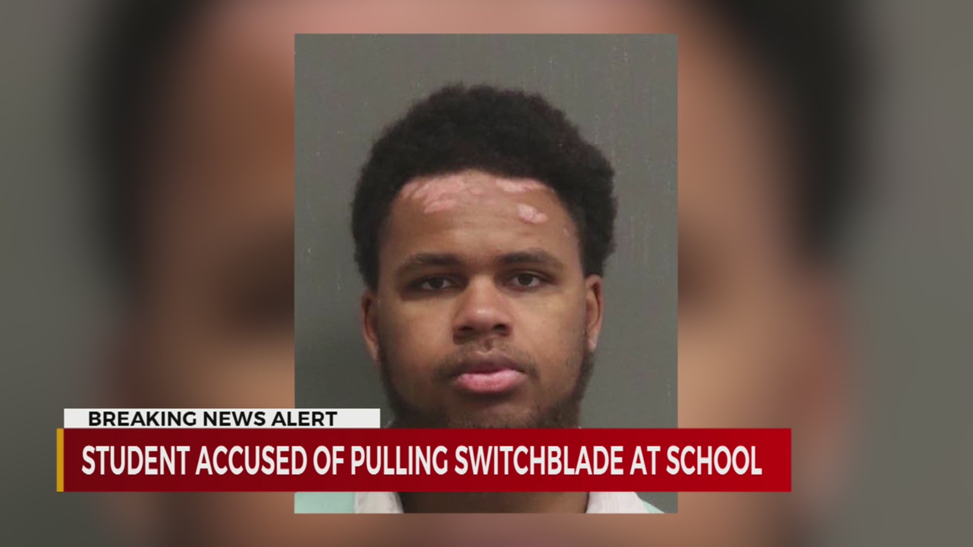 Cane Ridge High School student charged with carrying weapon on school ...