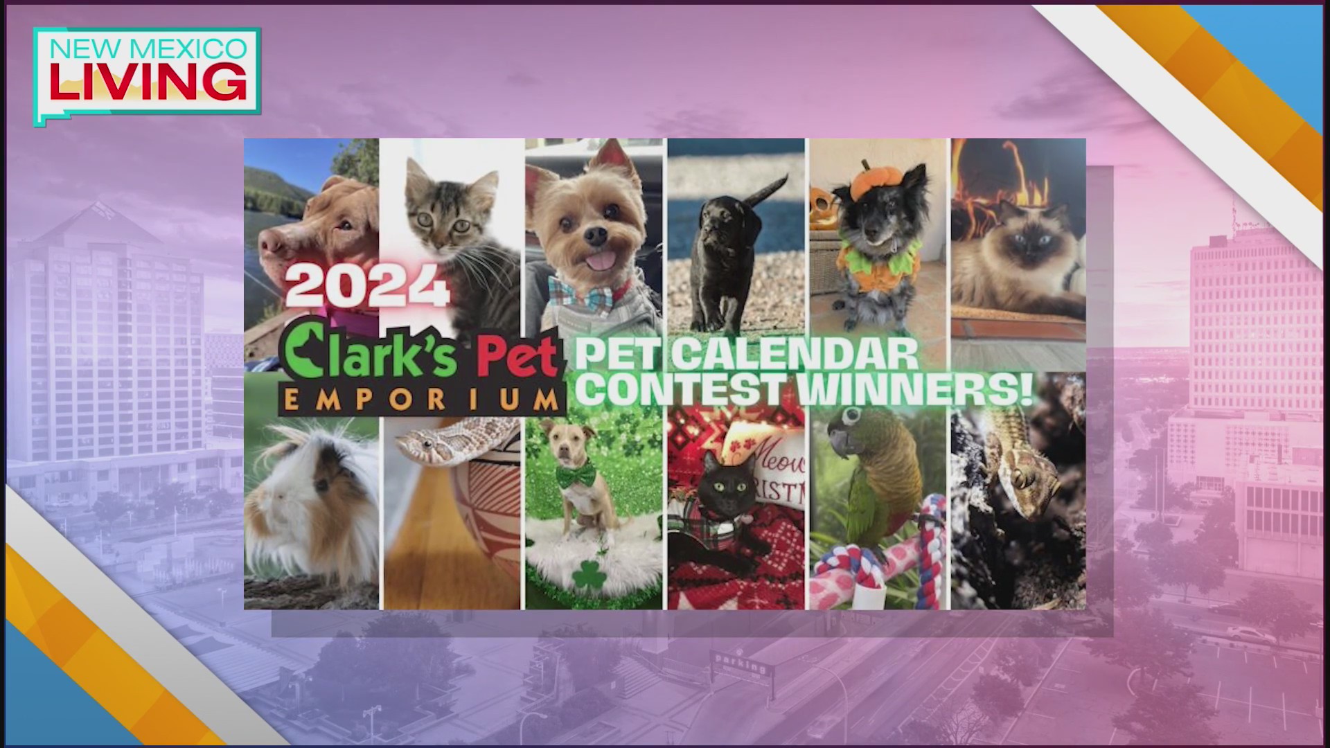 Clark’s Pet Emporium releases 2024 local Pet Calendar – KRQE NEWS 13 ...
