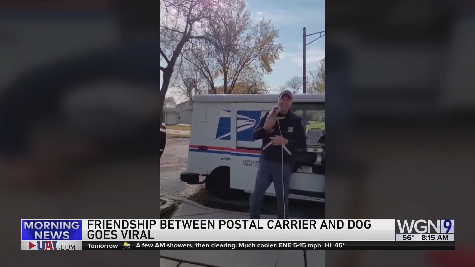 Friendship Between Dog & Suburban Postal Carrier Goes Viral – WGN-TV