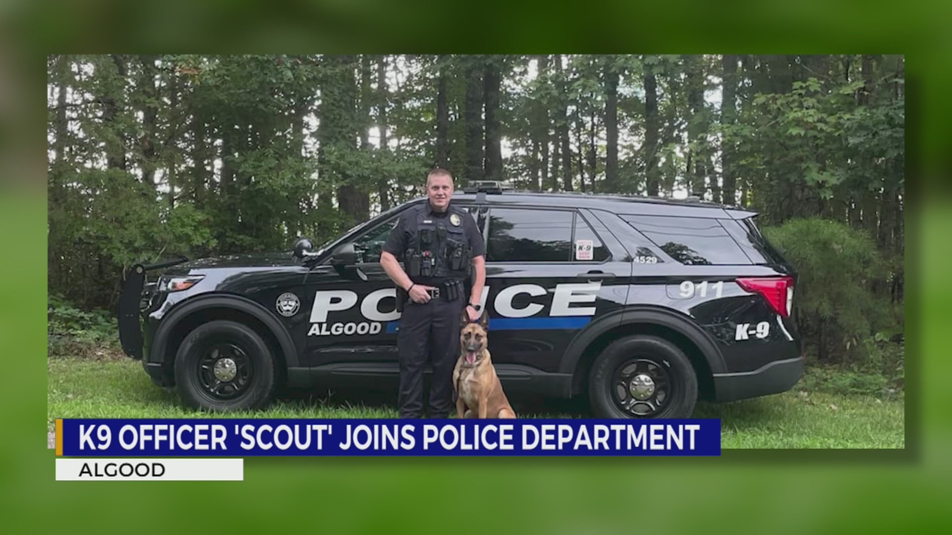K9 Officer Scout joins Algood Police Department – WKRN News 2