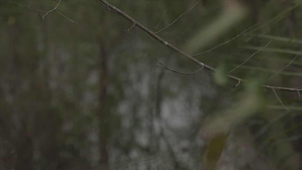 Merritt Brown Middle School to honor student after tragic drowning ...