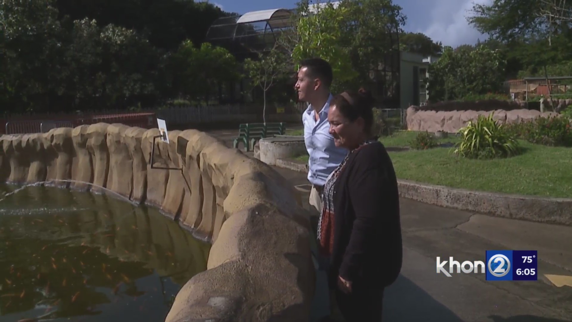Honolulu Zoo gets minor citations in USDA inspection – KHON2