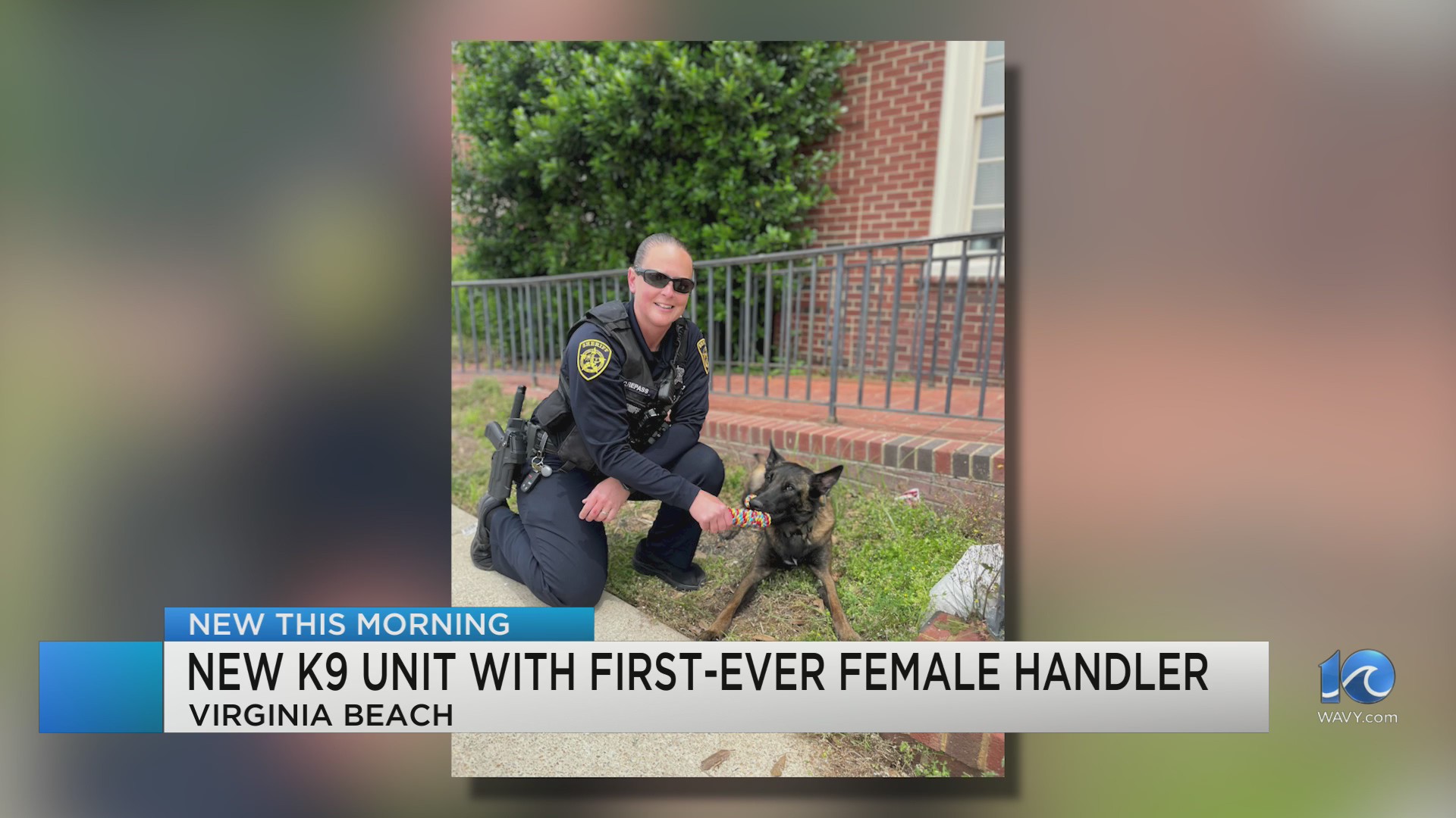 First female K9 handler making VBSO history – WAVY.com
