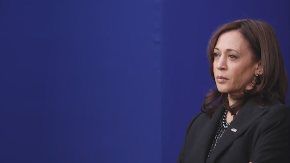 ‘It’s all about the campaign’: Political commentator on 2024 election ...
